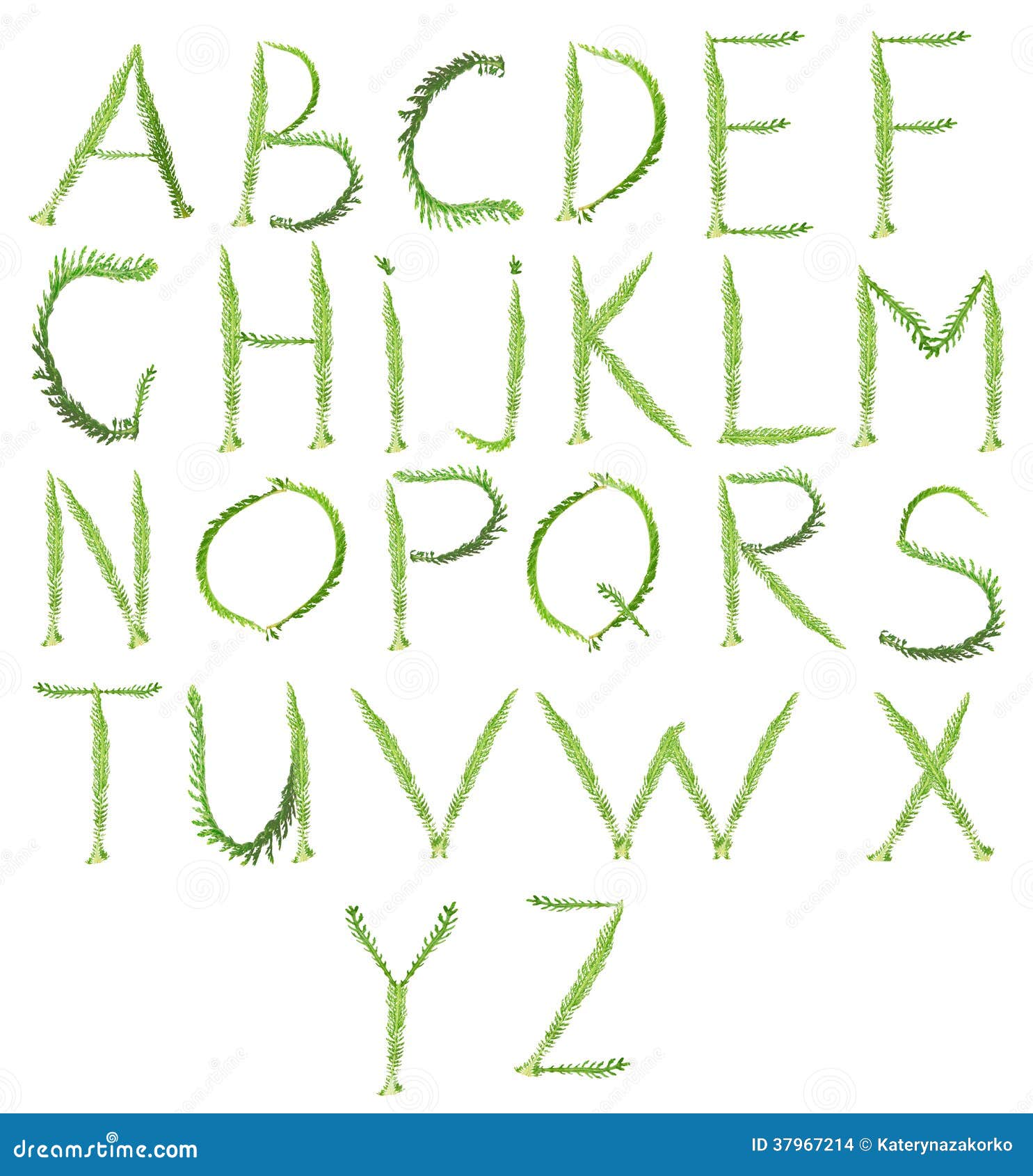 Letras de ramitas verdes foto de archivo. Imagen de belleza - 37967214