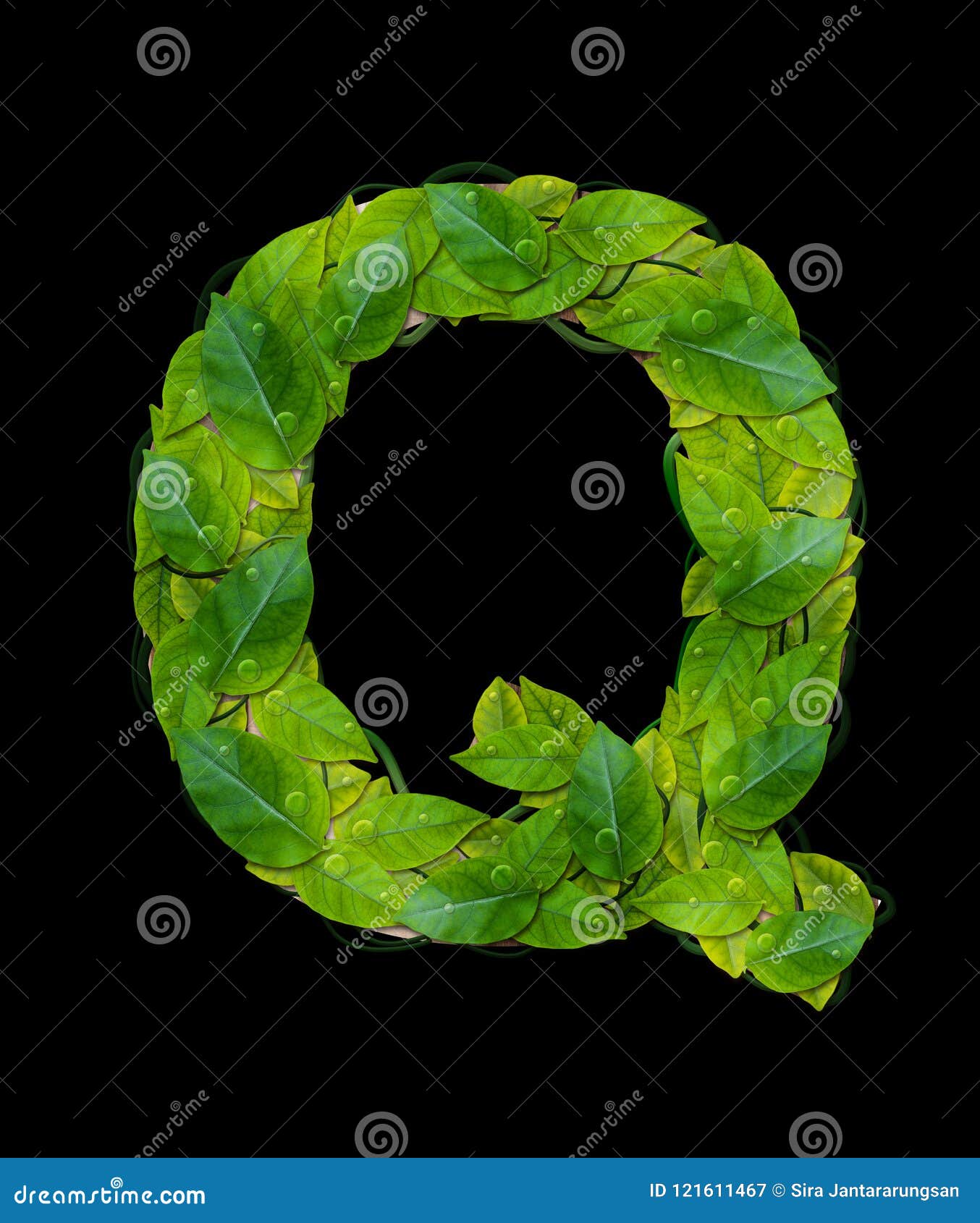 Letras Do Alfabeto Das Folhas Ilustração Stock - Ilustração de flora ...