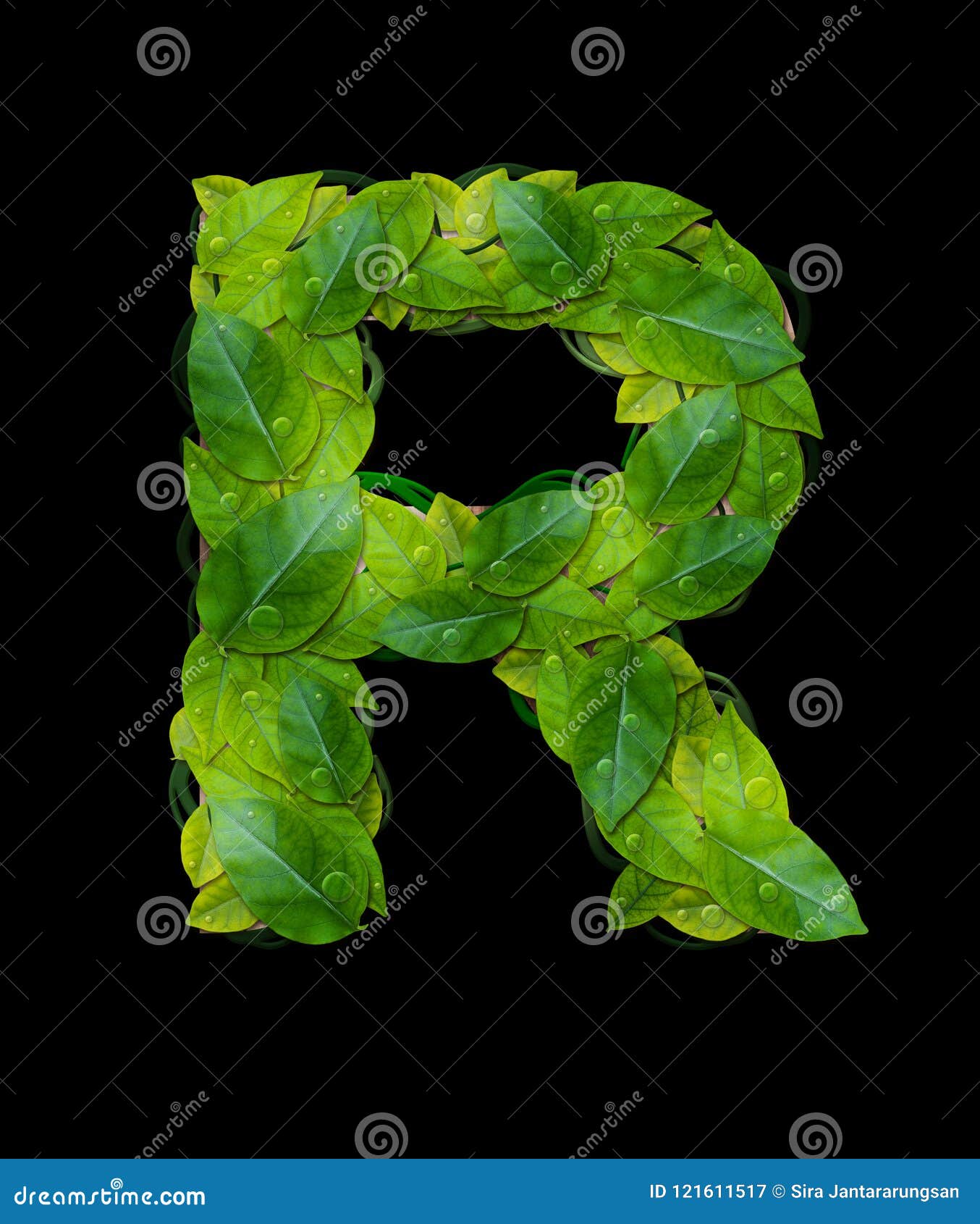 Letras Do Alfabeto Das Folhas Ilustração Stock - Ilustração de carta ...