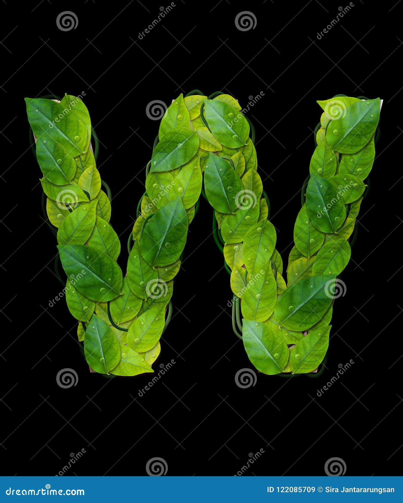 Letras Do Alfabeto Das Folhas Imagem de Stock - Imagem de naughty ...