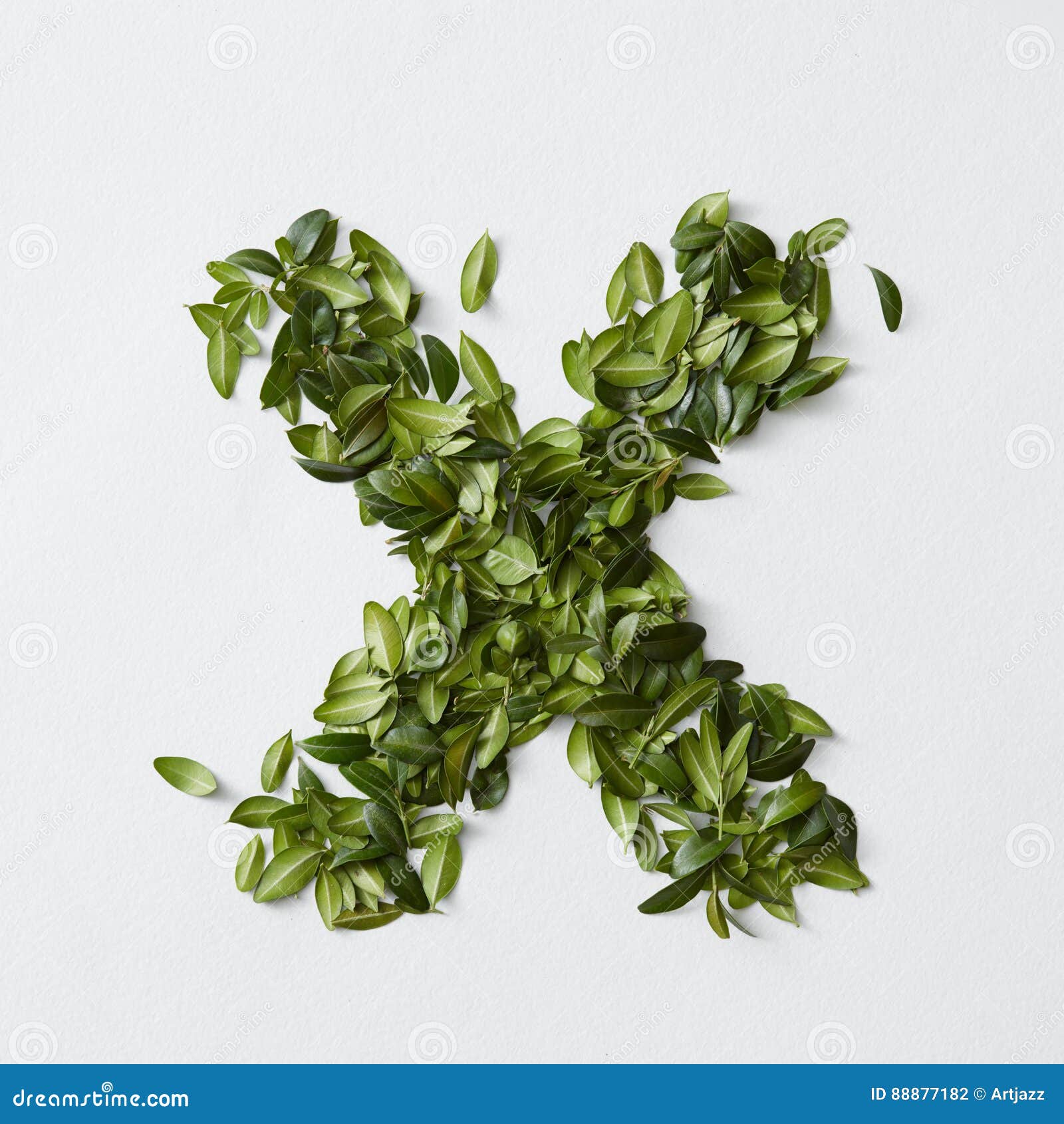 Letras Do Alfabeto Das Folhas Foto de Stock - Imagem de imagem, beleza ...