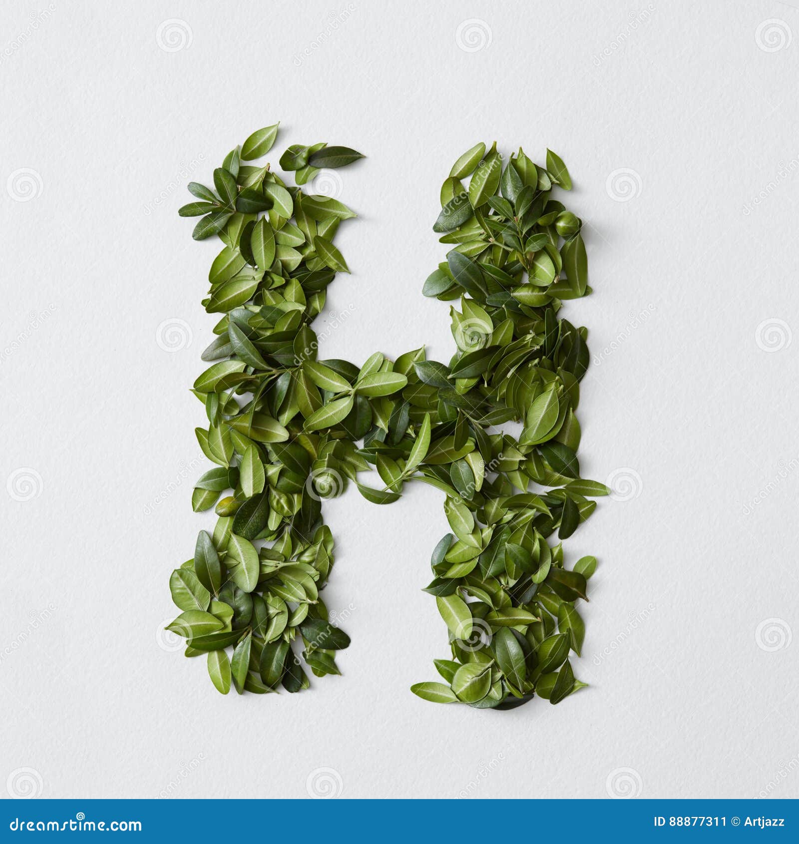 Letras Do Alfabeto Das Folhas Imagem de Stock - Imagem de filial, flor ...