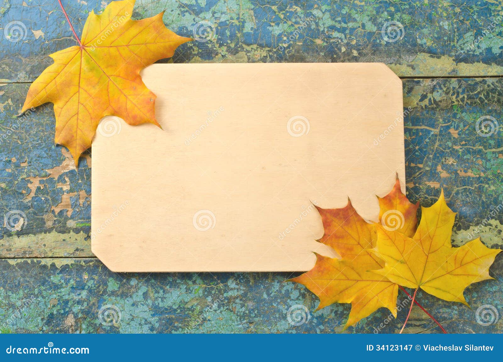 Letrero con Autumn Leaves imagen de archivo. Imagen de primer - 34123147