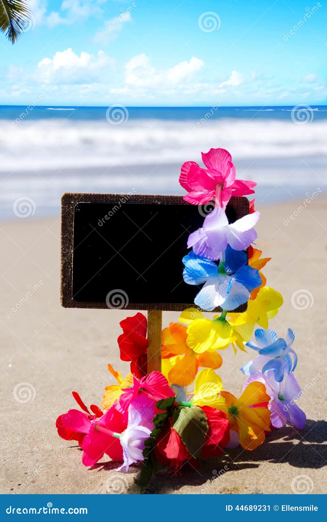 Letrero En La Playa Arenosa Imagen de archivo - Imagen de etiqueta ...