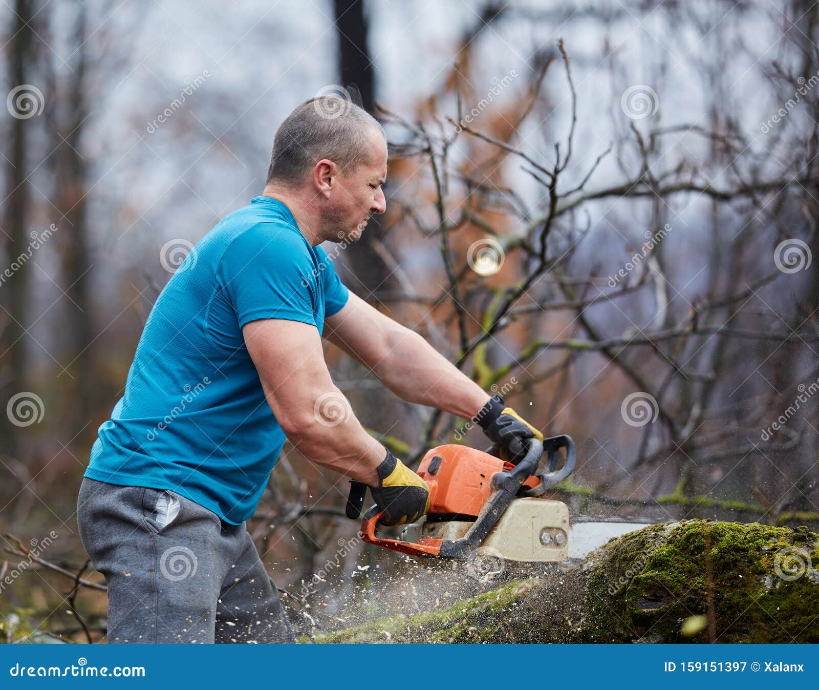 Letrero Trabajando Con Motosierra Imagen de archivo - Imagen de persona ...