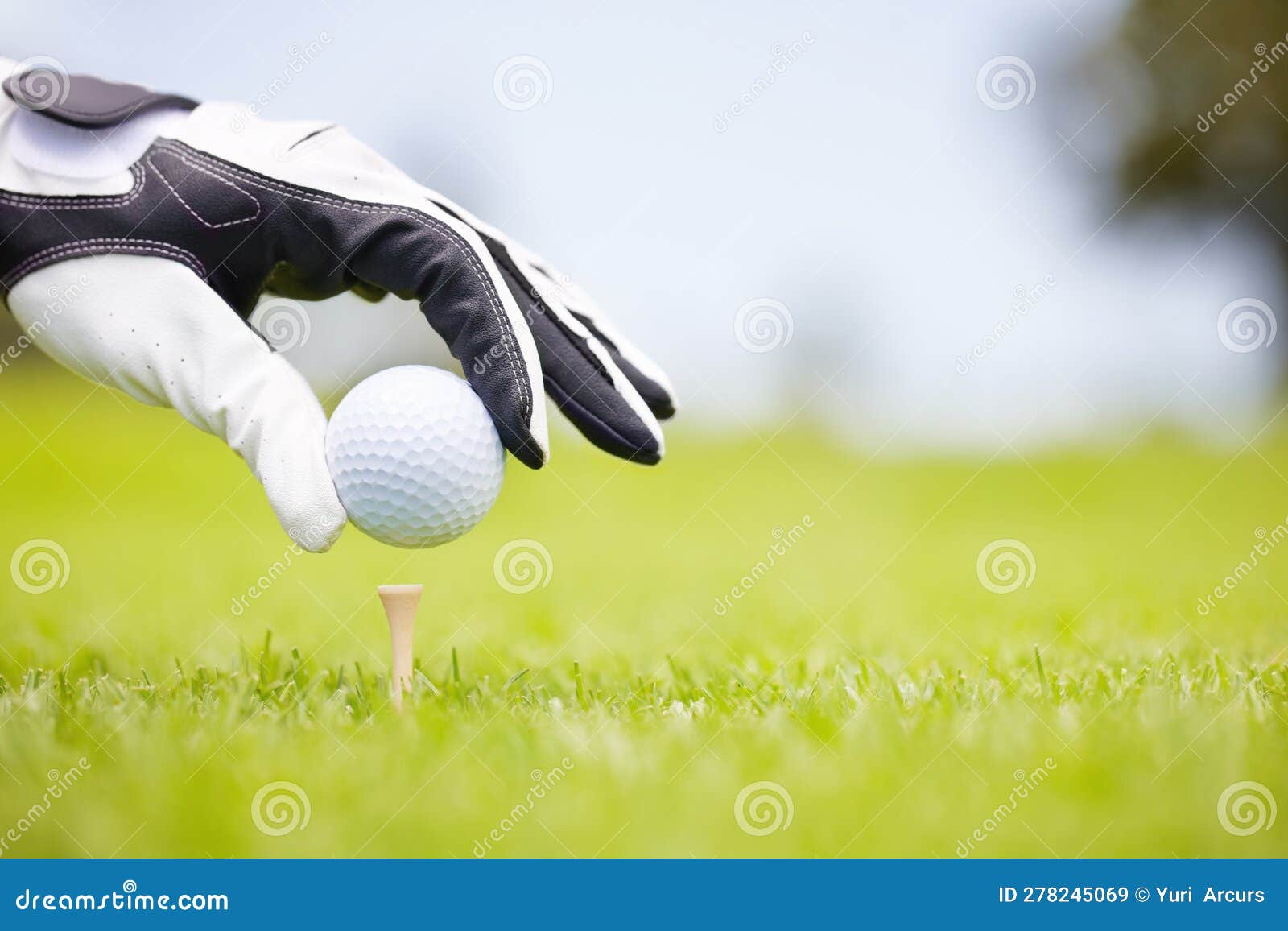 Lets Get this Ball Rolling. Cropped Image of a Golfer Placing the Ball ...