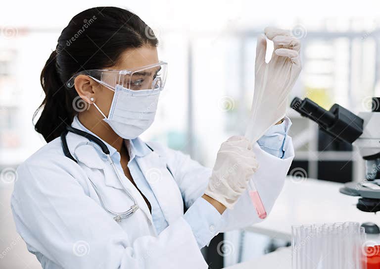 Lets Get Started with the Next Experiment. a Young Scientist Putting on Protective Gloves while ...