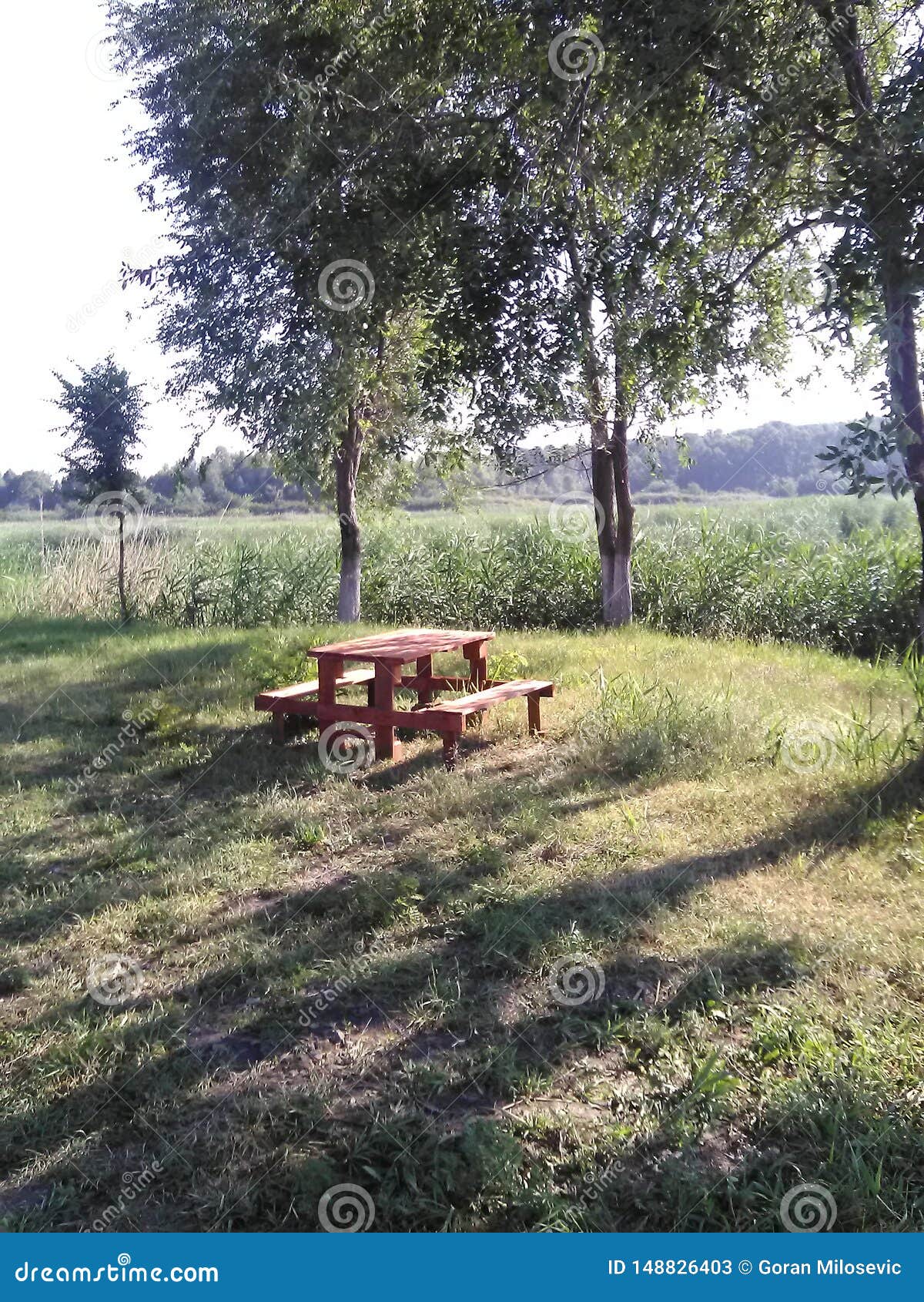 Lets go to nature stock image. Image of water, rise - 148826403