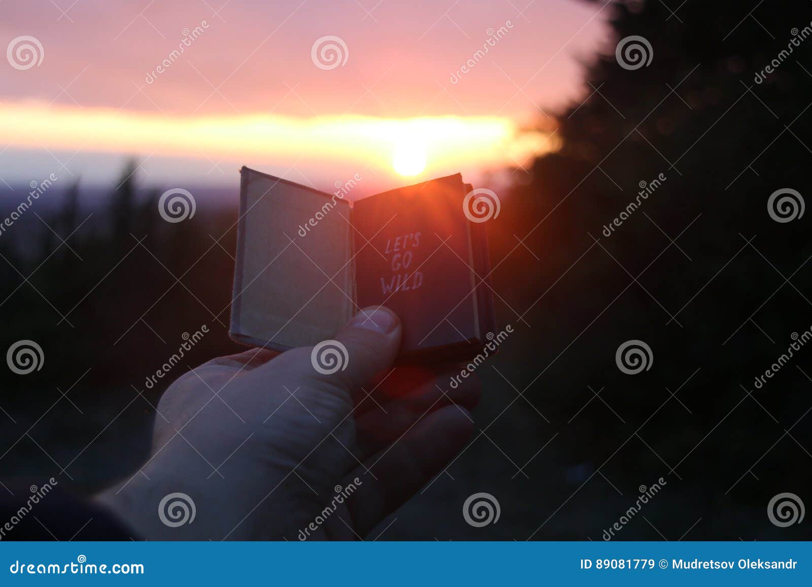 Lets Go Wild Text, Journey Idea. Book with Text at Sunset. Stock Image ...