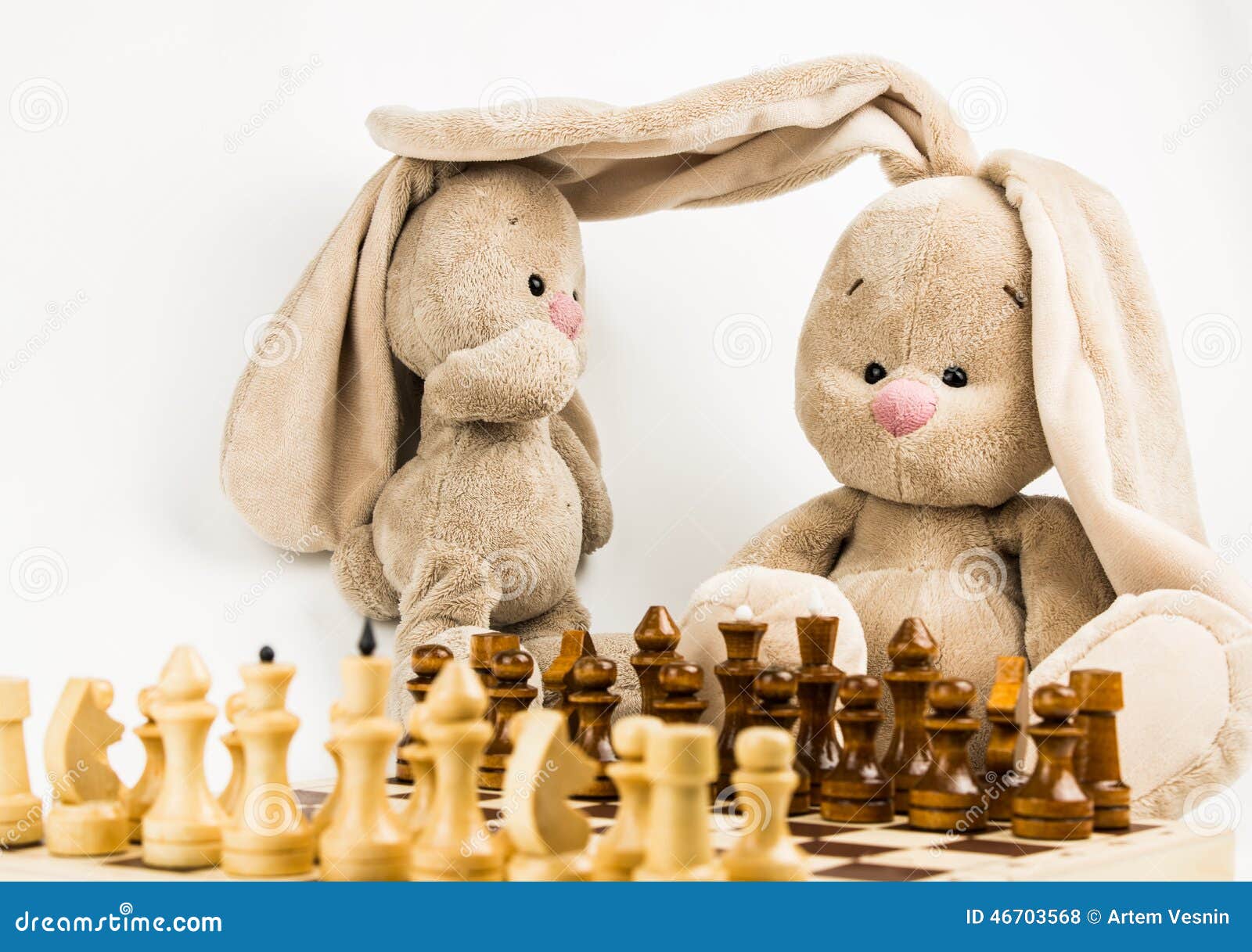 Lets play chess stock photo. Image of adversity, animals - 46703568