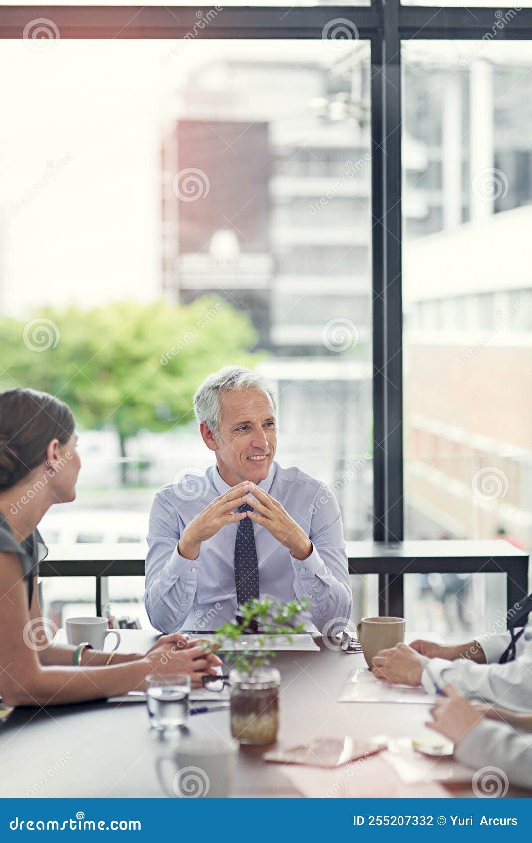 Lets Talk about the Future. a Businessman Leading a Discussion in the ...
