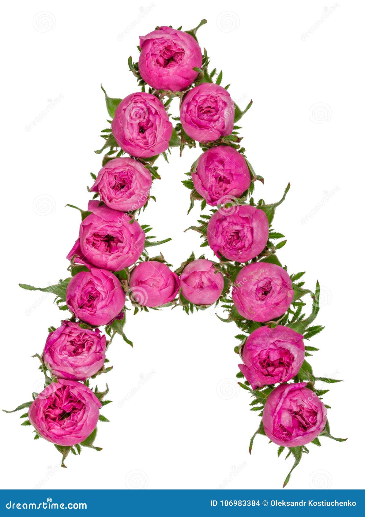 Letter a Alphabet from Flowers of Roses, Isolated on White Background ...