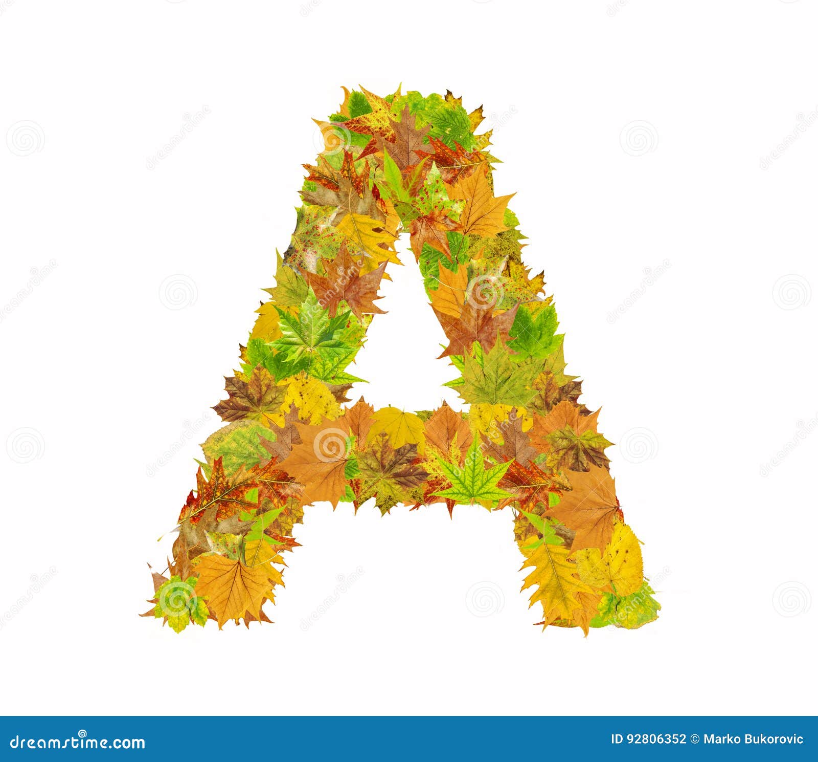 The Letter a of Alphabet Made of Autumn Leaves Stock Photo - Image of ...