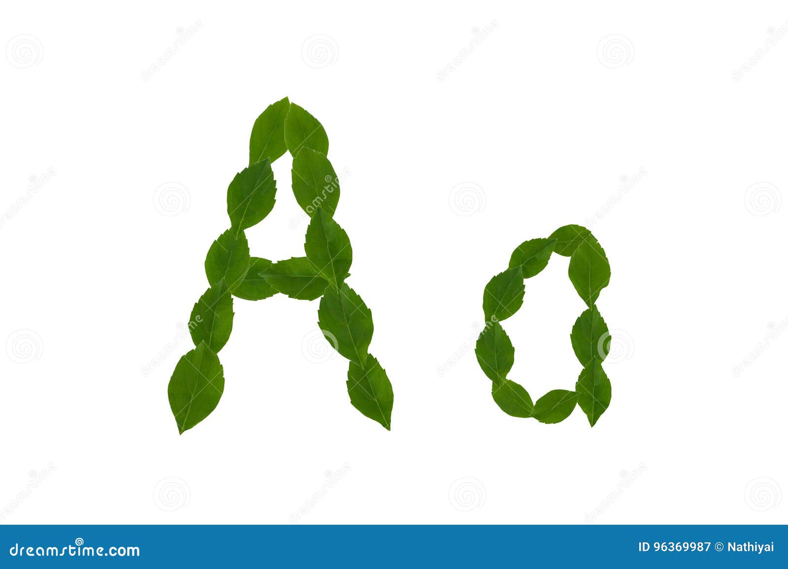 Letter a, Alphabet Made from Green Leaves Stock Image - Image of leaf ...