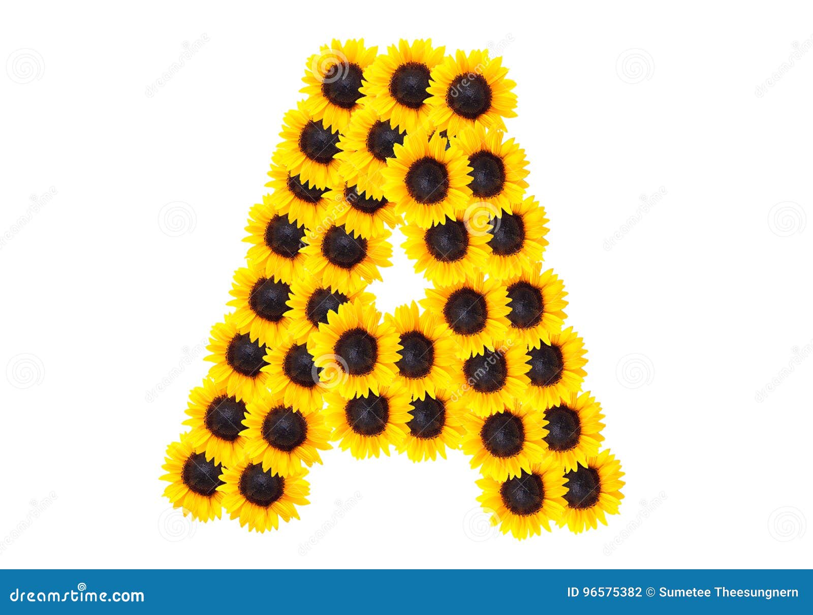 Letter a Alphabet with Sunflower. Stock Illustration - Illustration of ...