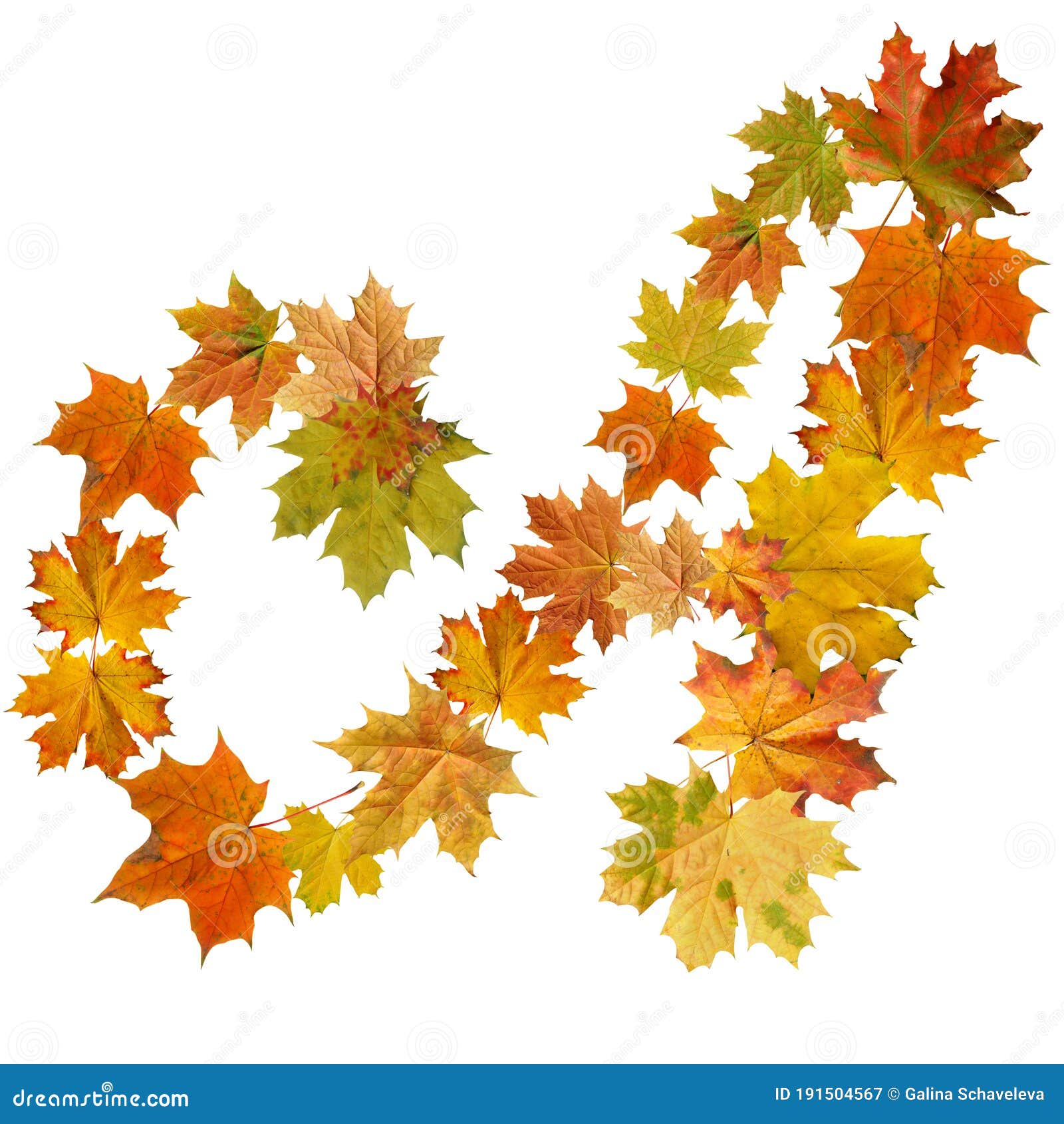 Letter of Autumn Maple Leaves Stock Image - Image of isolated, pattern ...