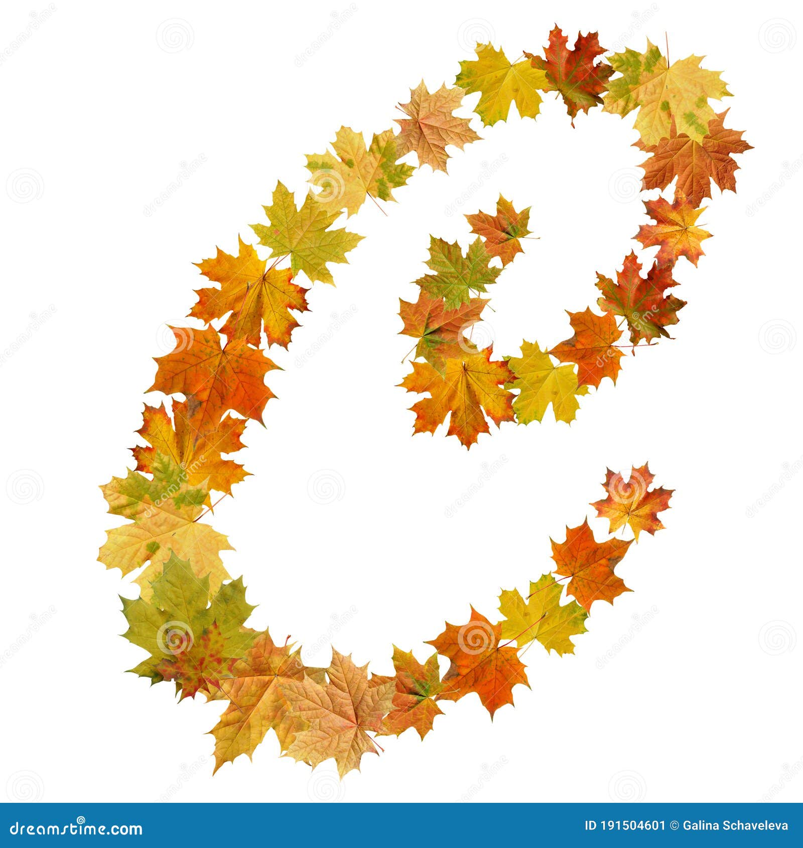 Letter of Autumn Maple Leaves Stock Image - Image of sheet, maple ...