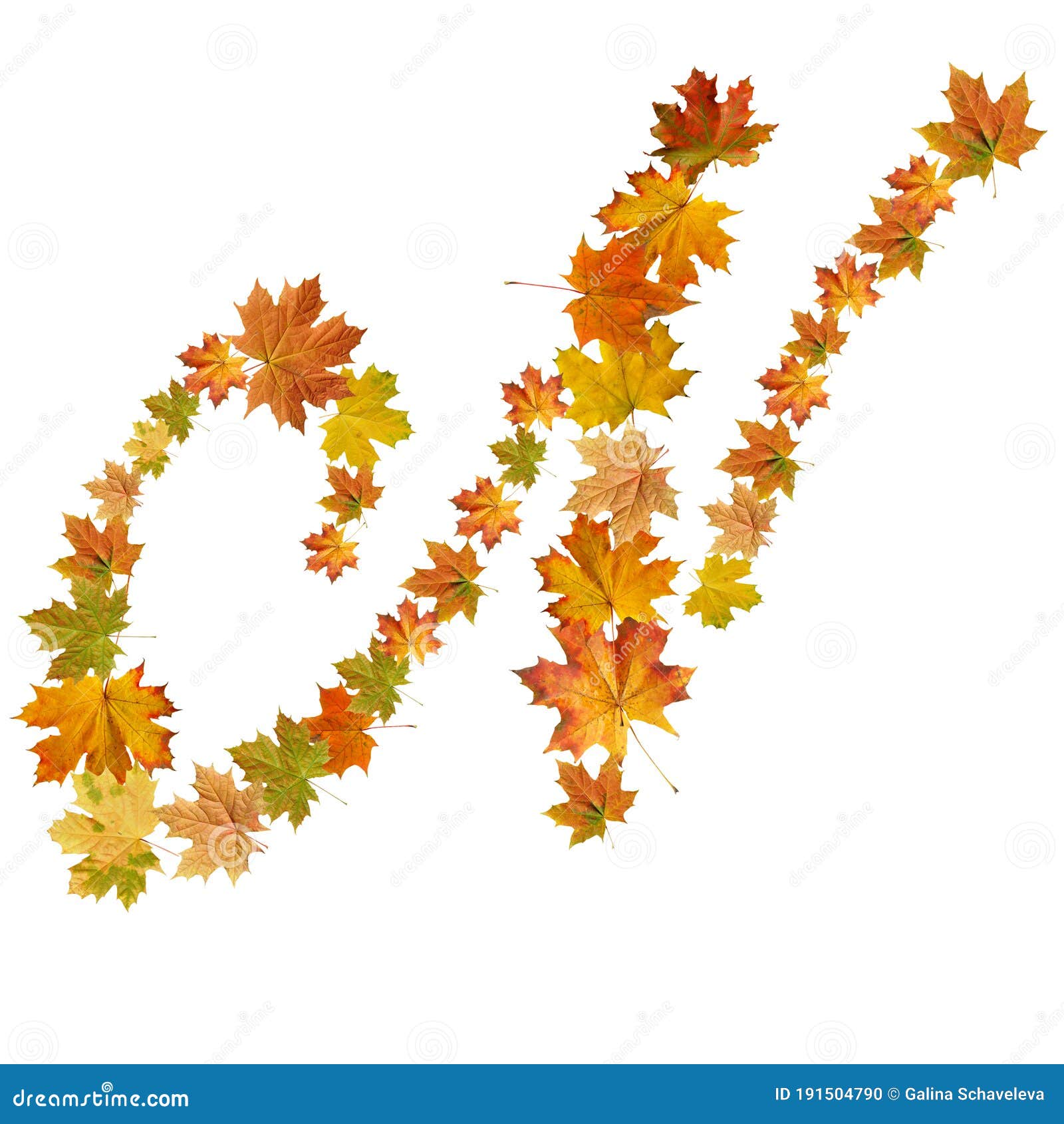Letter of Autumn Maple Leaves Stock Photo - Image of symbol, orange ...