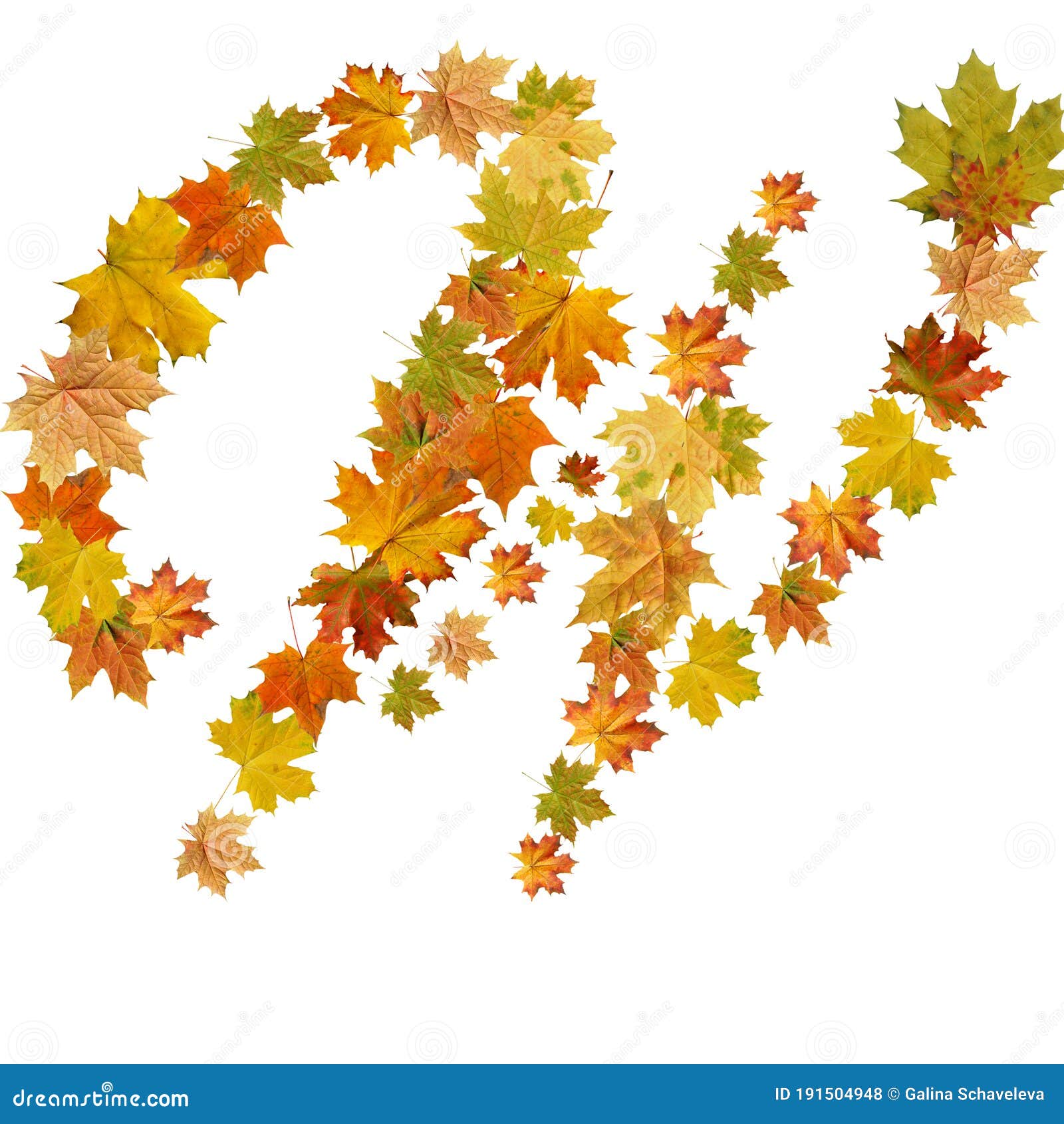 Letter of Autumn Maple Leaves Stock Photo - Image of write, maple ...