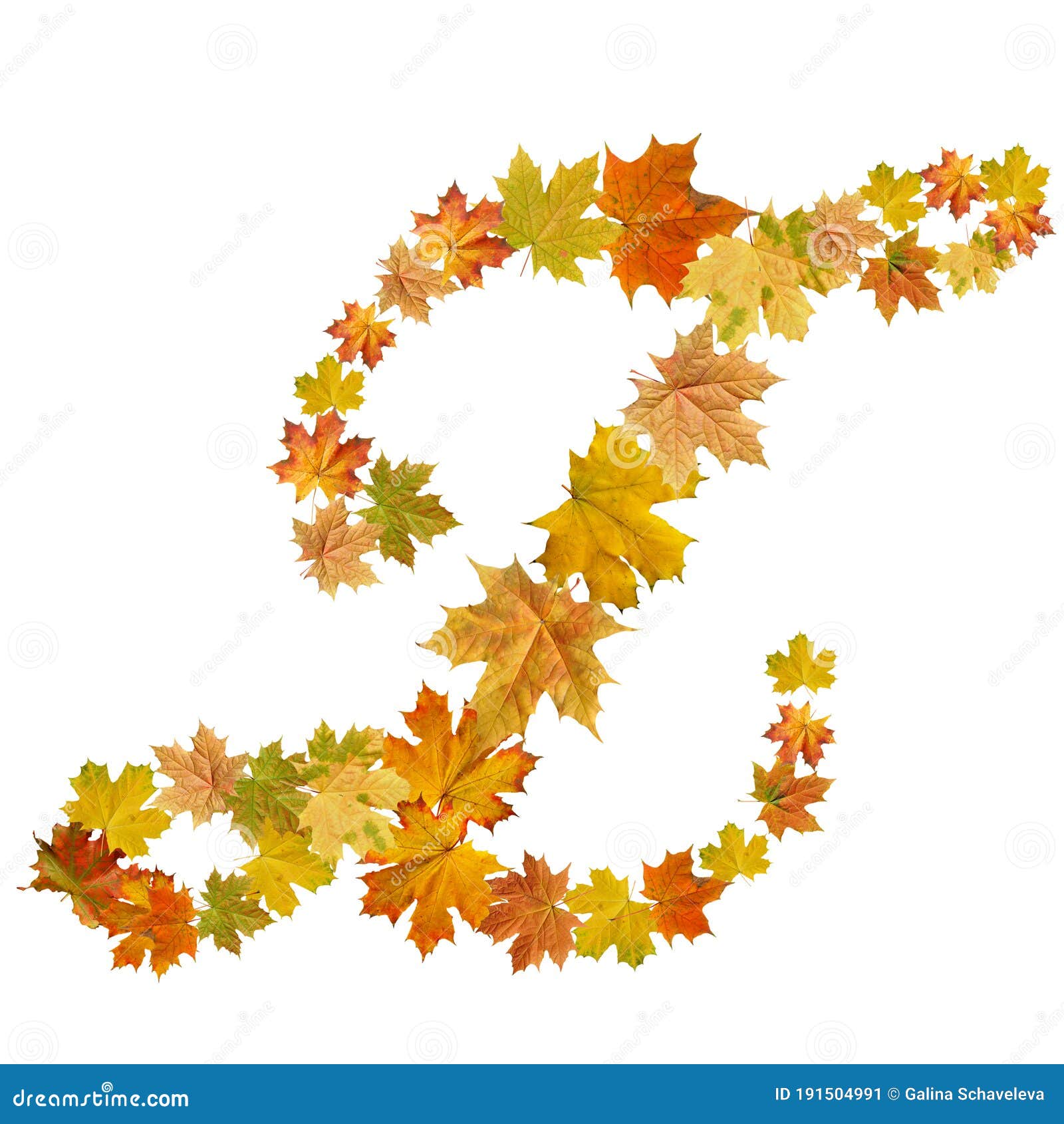 Letter of Autumn Maple Leaves Stock Image - Image of white, letters ...