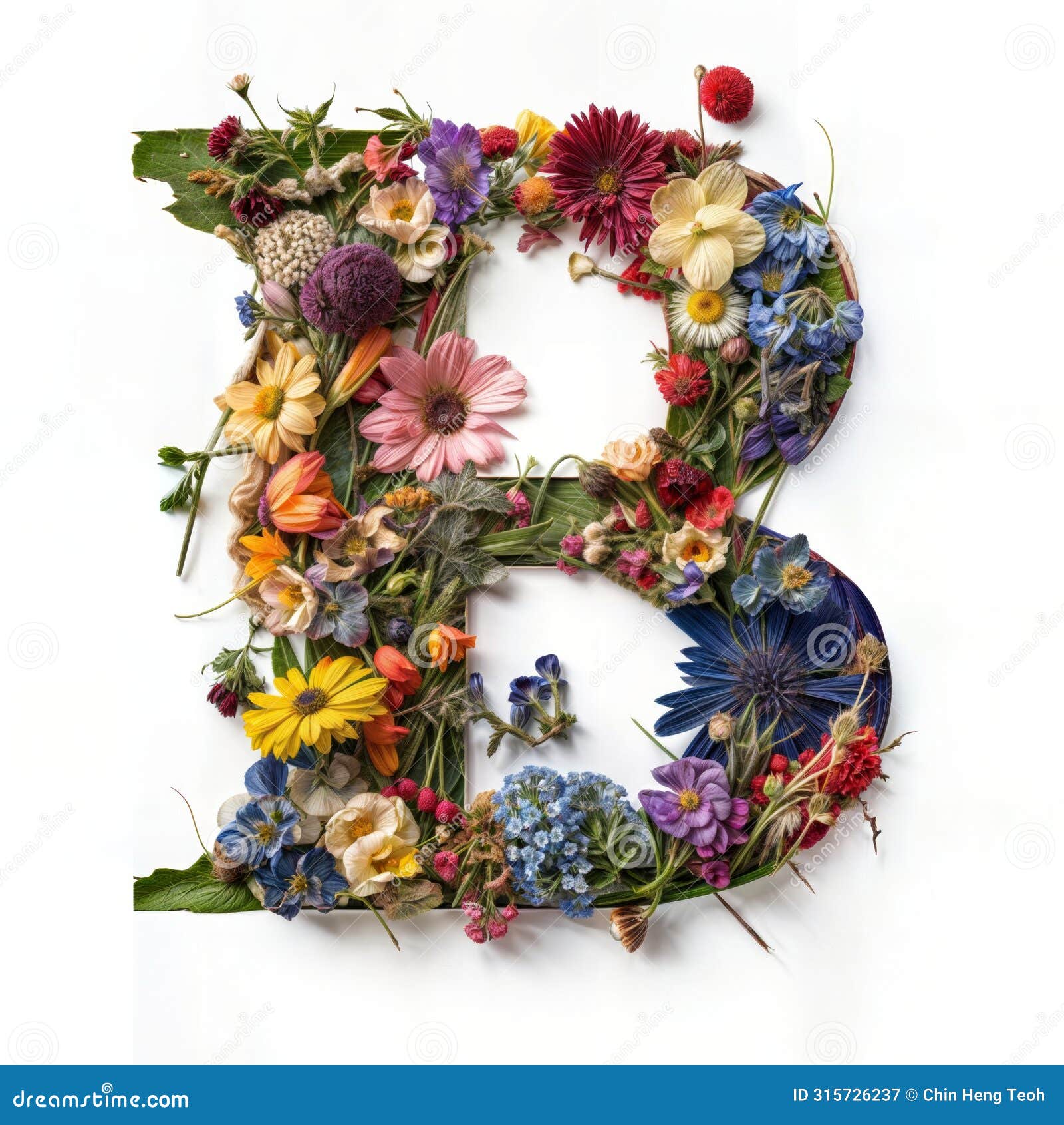 Letter B Made of Various Flowers and Leaves, Isolated on White ...