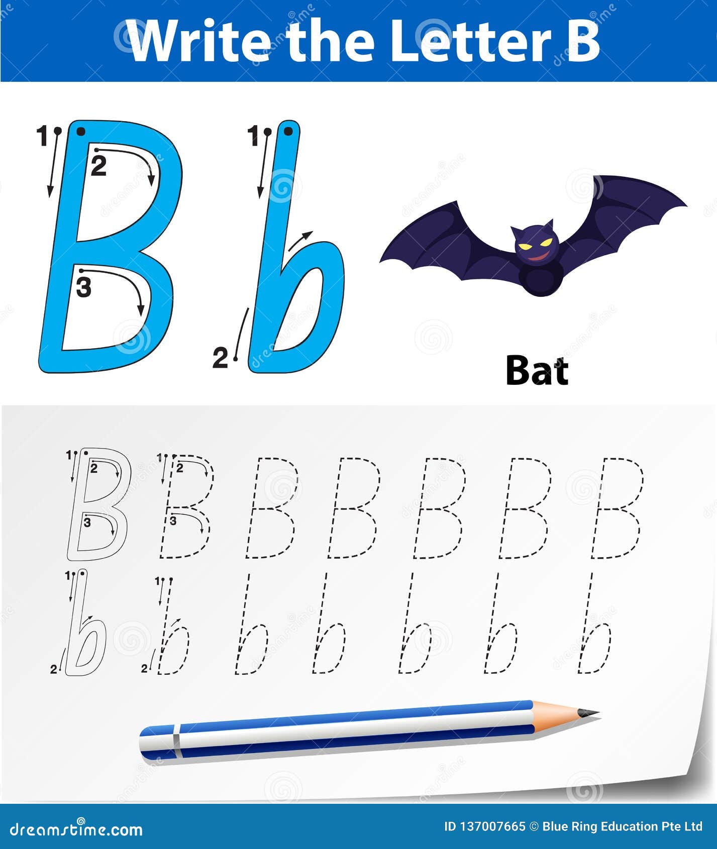 Letter B Tracing Alphabet Worksheets Stock Vector - Illustration of ...