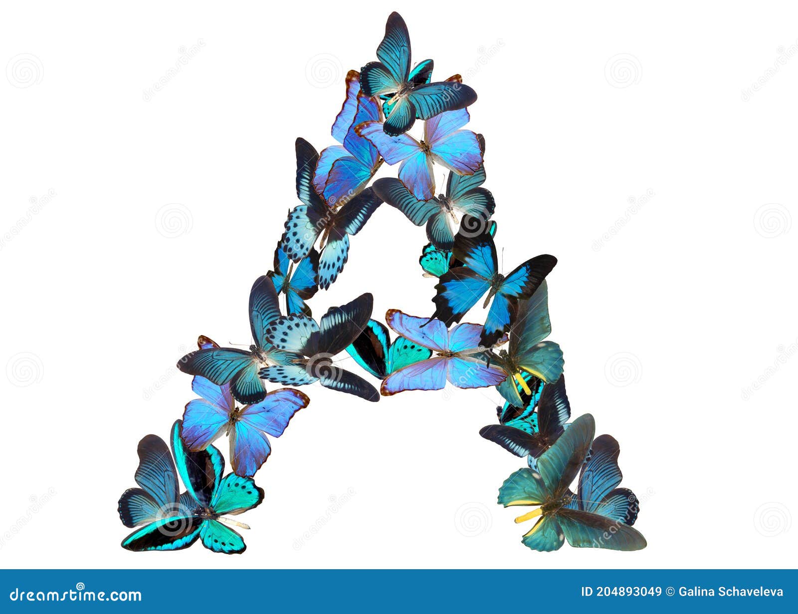 Letter of blue butterfly stock illustration. Illustration of spring ...