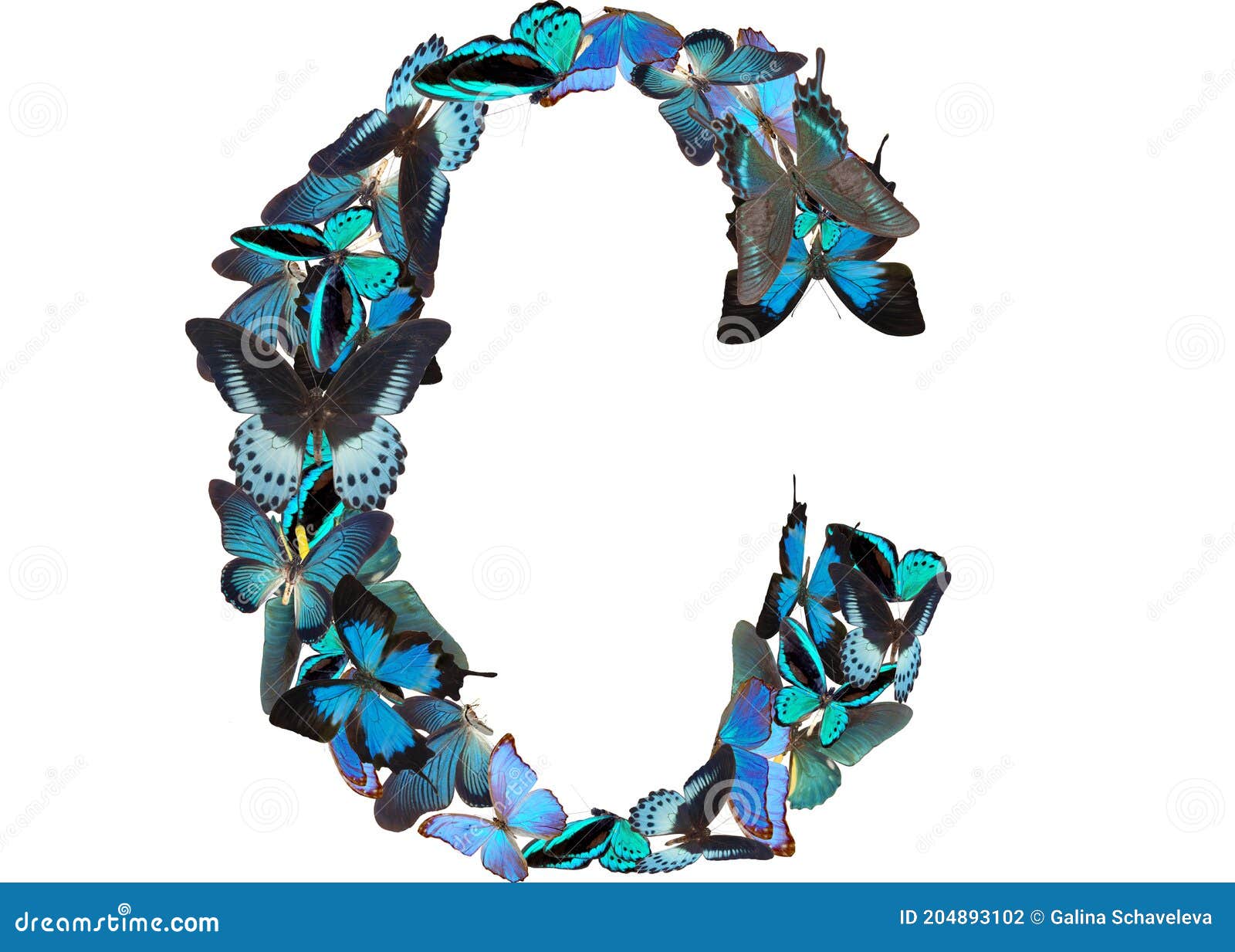 Letter of blue butterfly stock illustration. Illustration of symbol ...