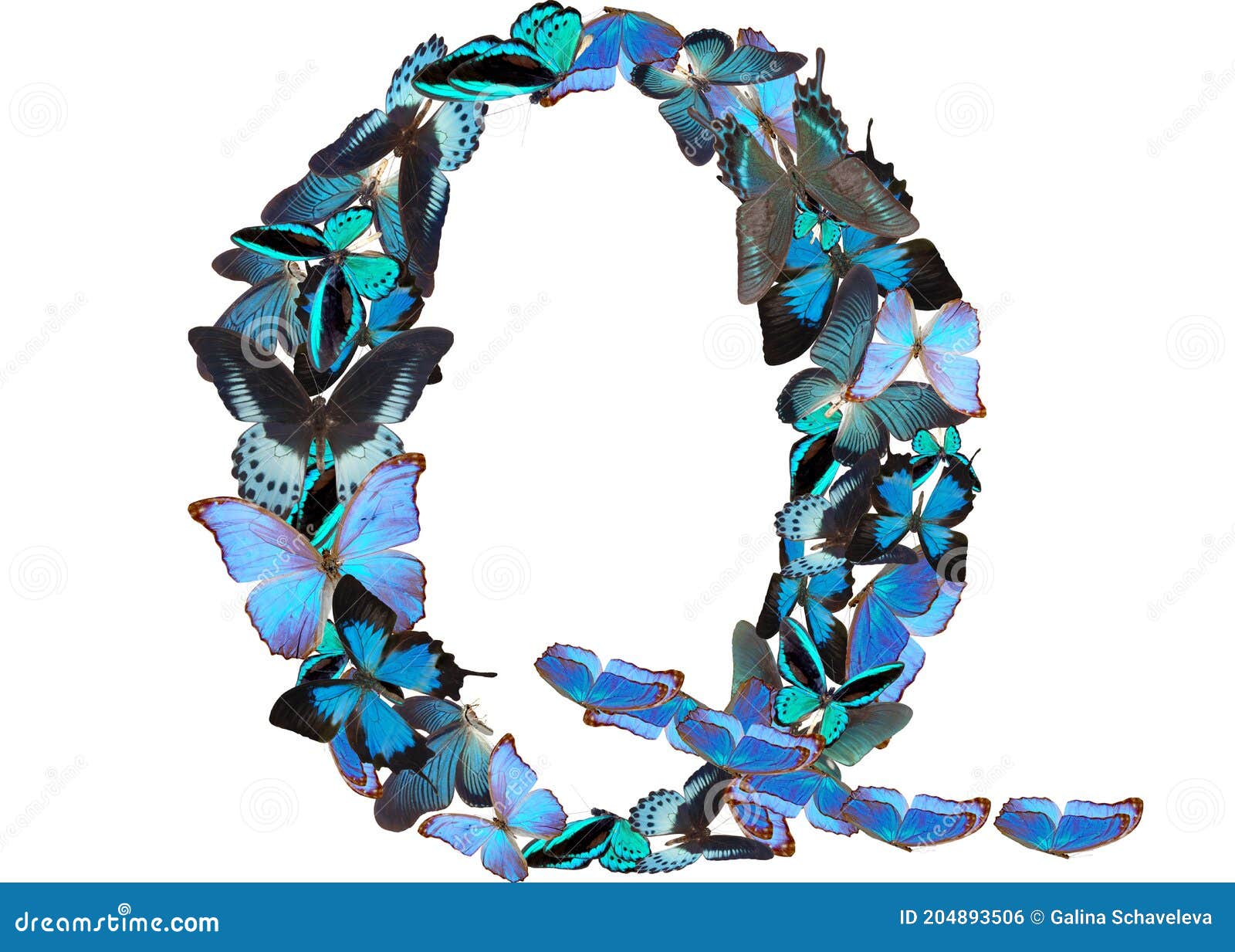 Letter of blue butterfly stock illustration. Illustration of abstract ...