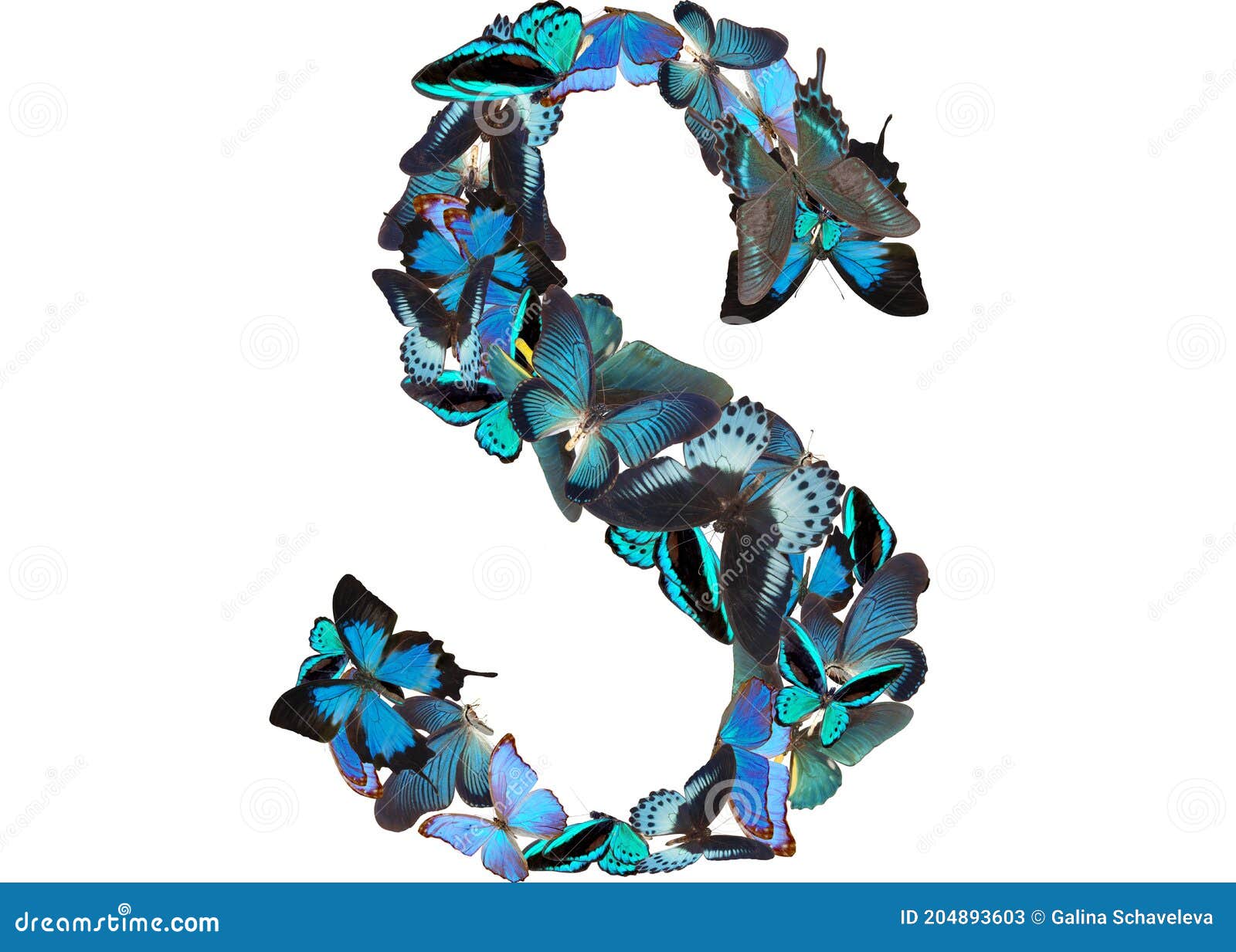 Letter of blue butterfly stock illustration. Illustration of isolated ...