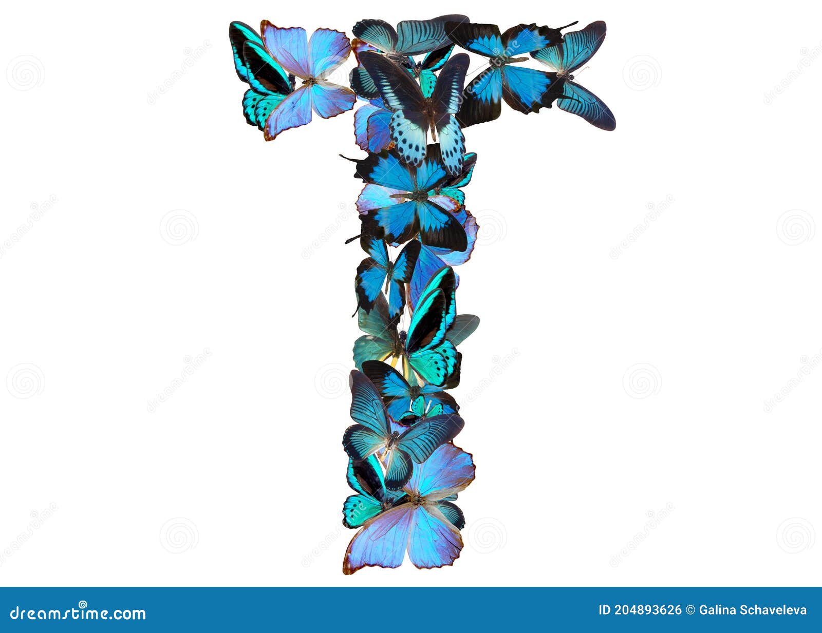 Letter of blue butterfly stock illustration. Illustration of clean ...