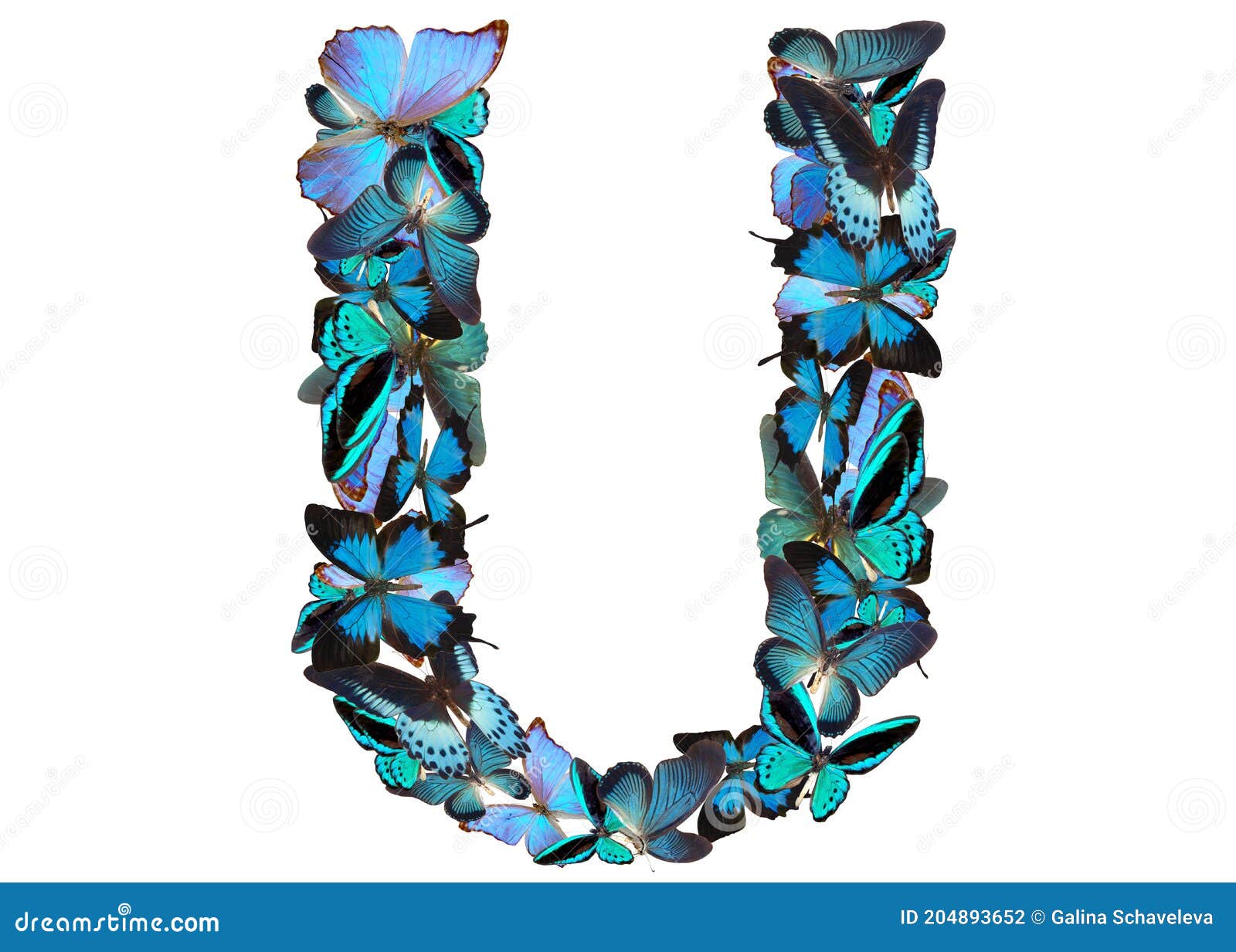 Letter of blue butterfly stock illustration. Illustration of brilliance ...