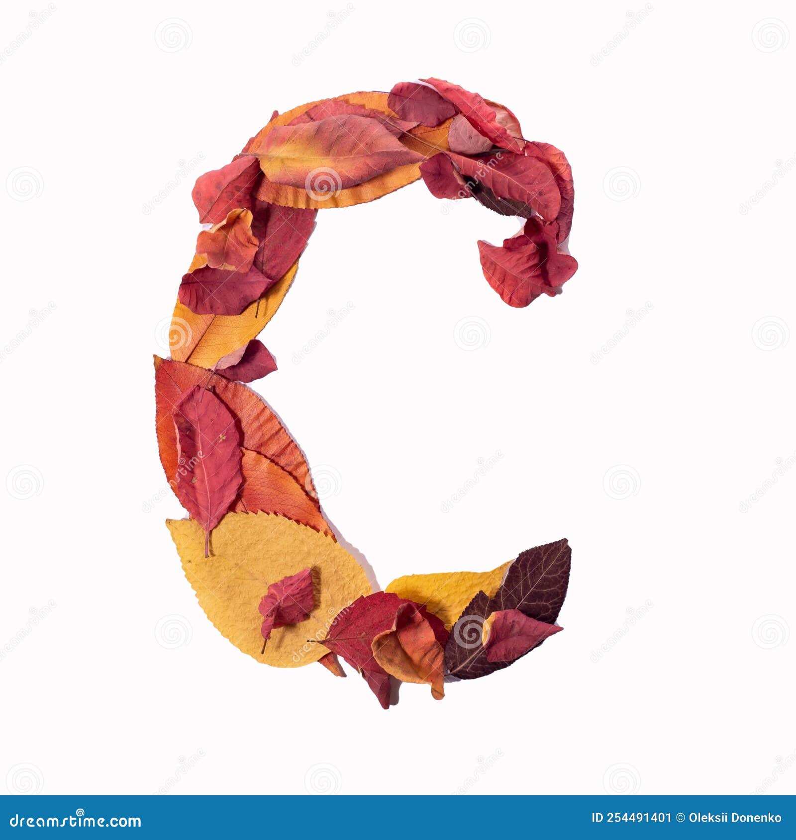 Letter C Autumn Leaves Isolate on White Background Stock Image - Image ...