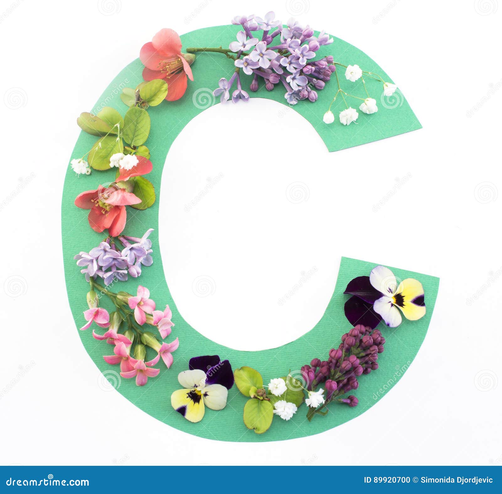 Letter C Made of Spring Flowers and Paper Stock Photo - Image of nature ...