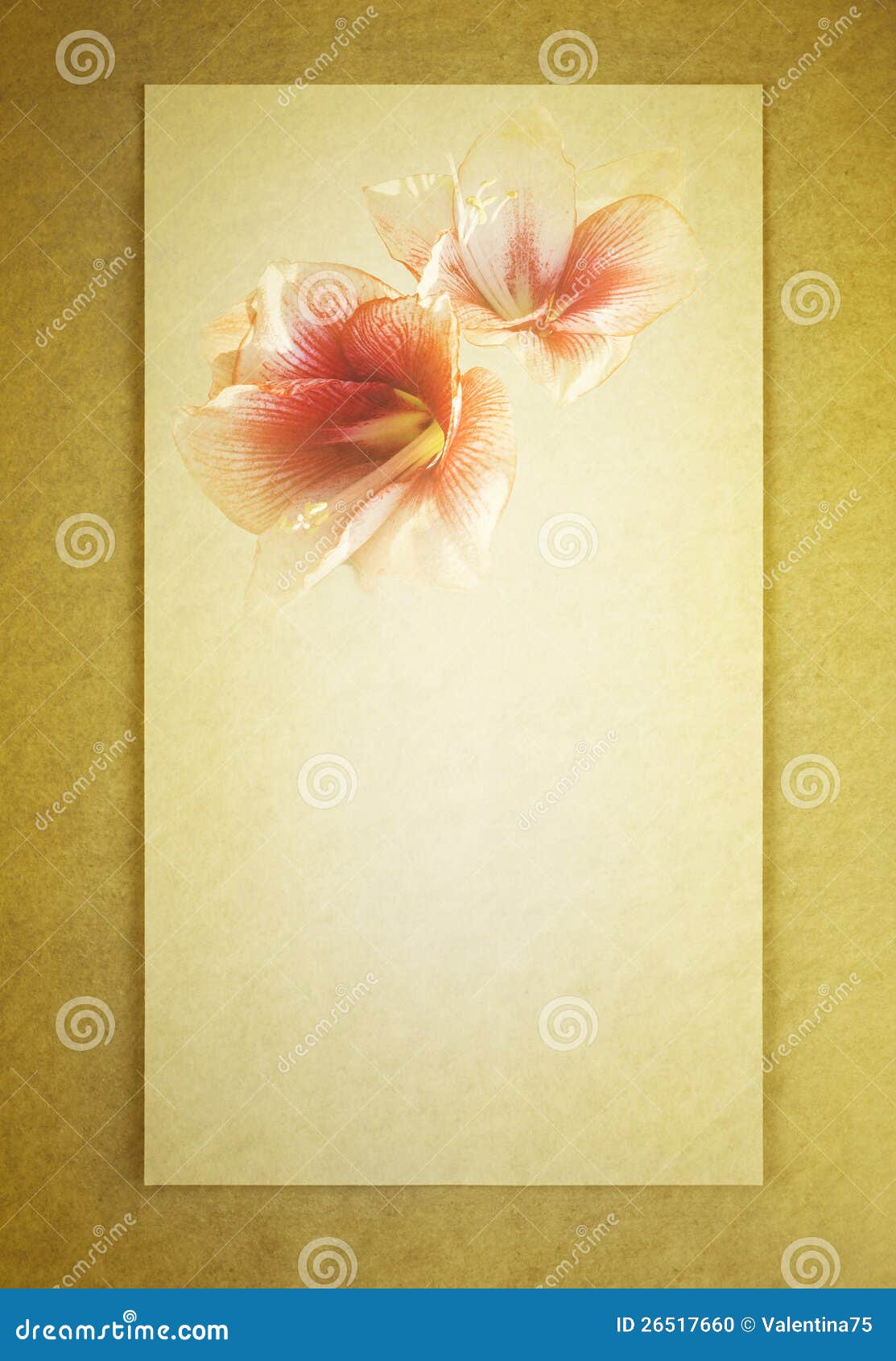 Letter card stock photo. Image of elegant, collage, beautiful - 26517660
