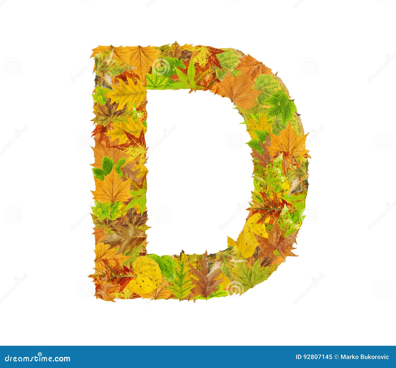 The Letter D of Alphabet Made of Autumn Leaves Stock Image - Image of ...