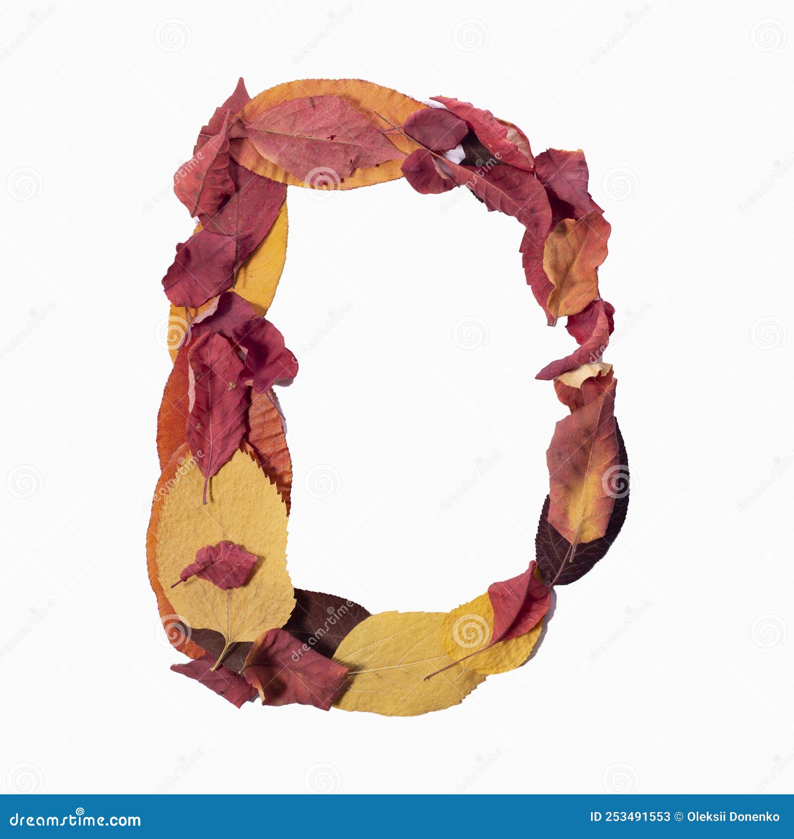 Letter D Autumn Leaves Isolate on White Background Stock Image - Image ...