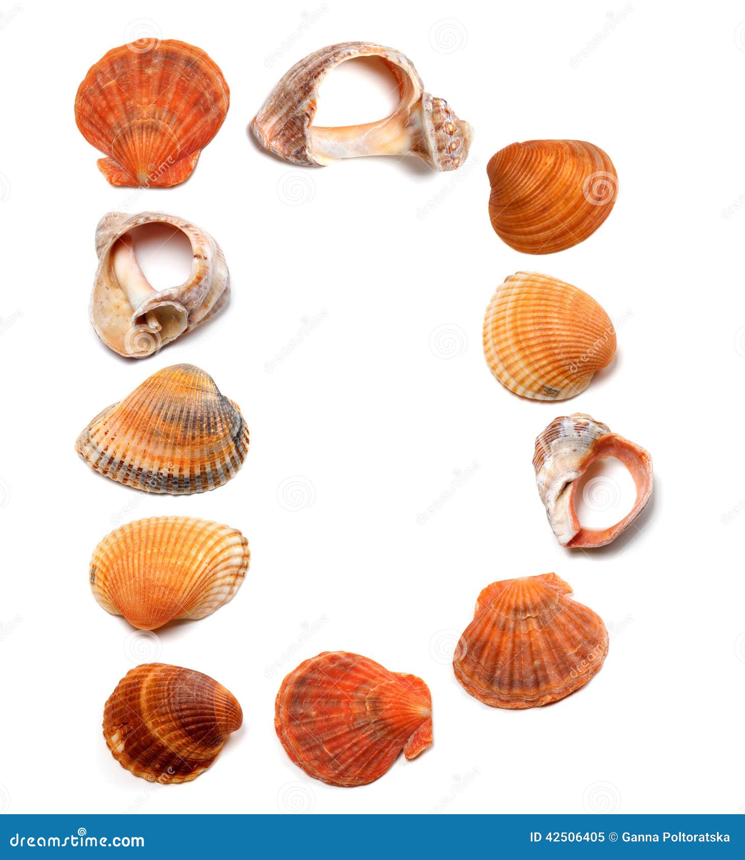 Letter D Composed of Seashells Stock Image - Image of design, detail ...