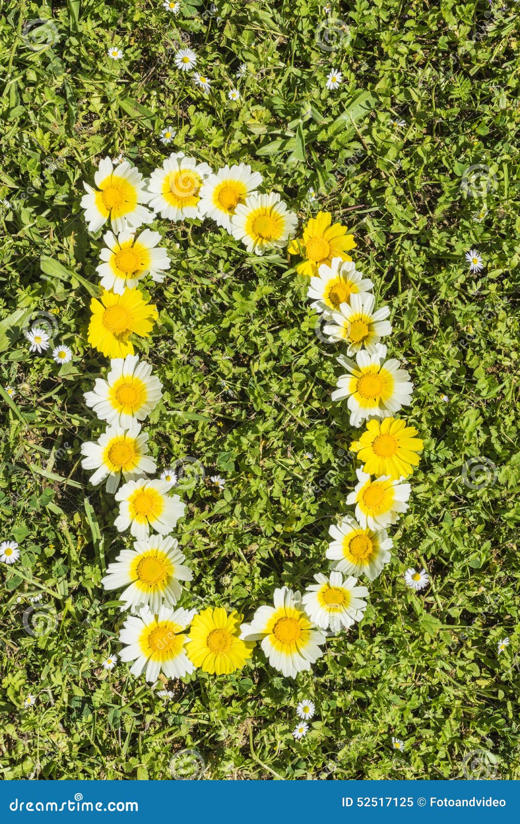 Letter D flower alphabet stock image. Image of block - 52517125