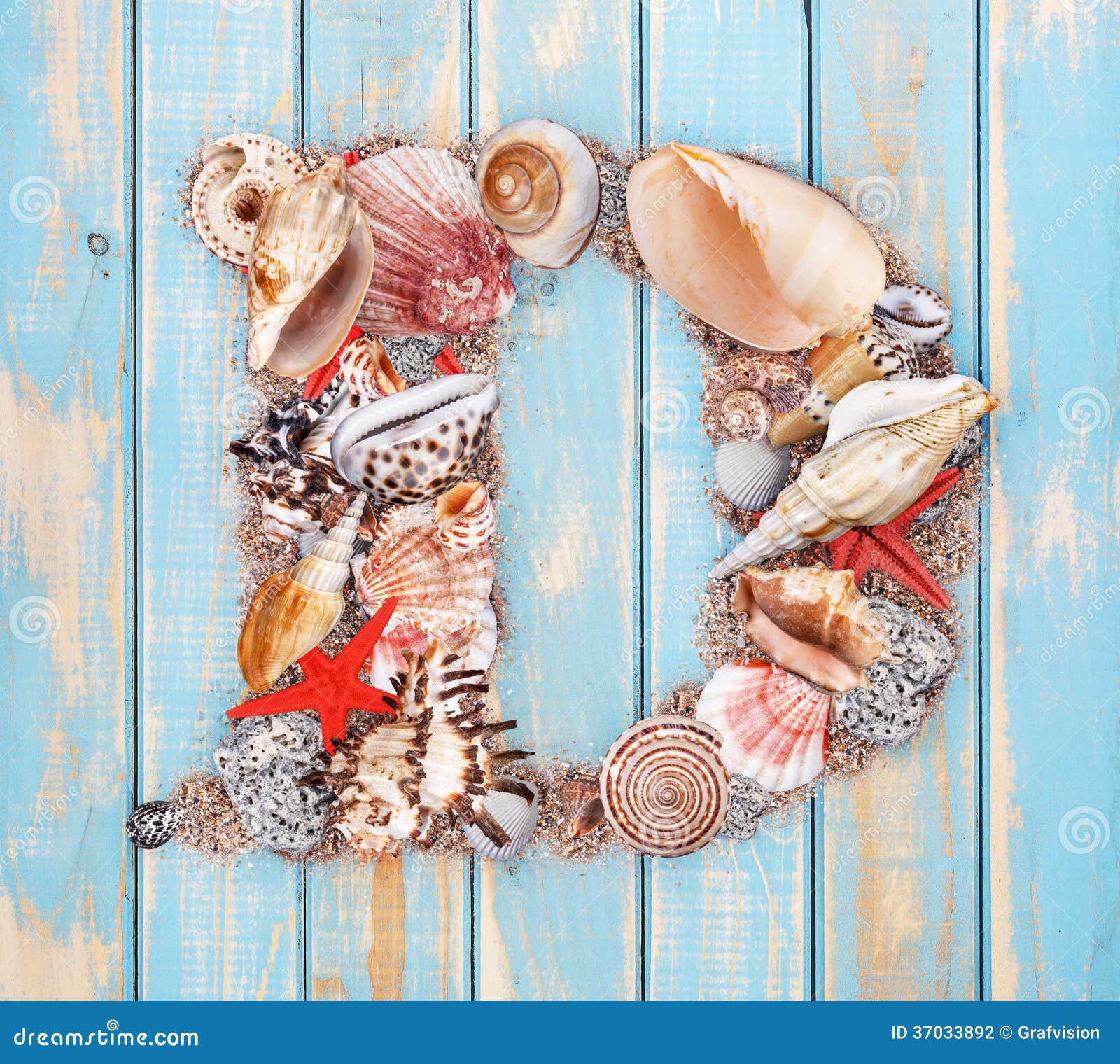 Letter D stock photo. Image of letter, isolated, invertebrates - 37033892