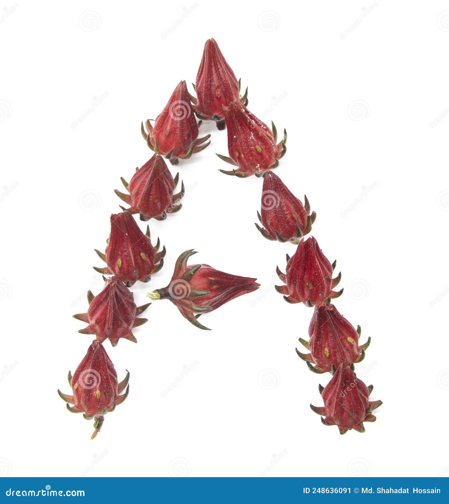 Letter a Design by Roselle Fruit Over on White Background, Letter a ...