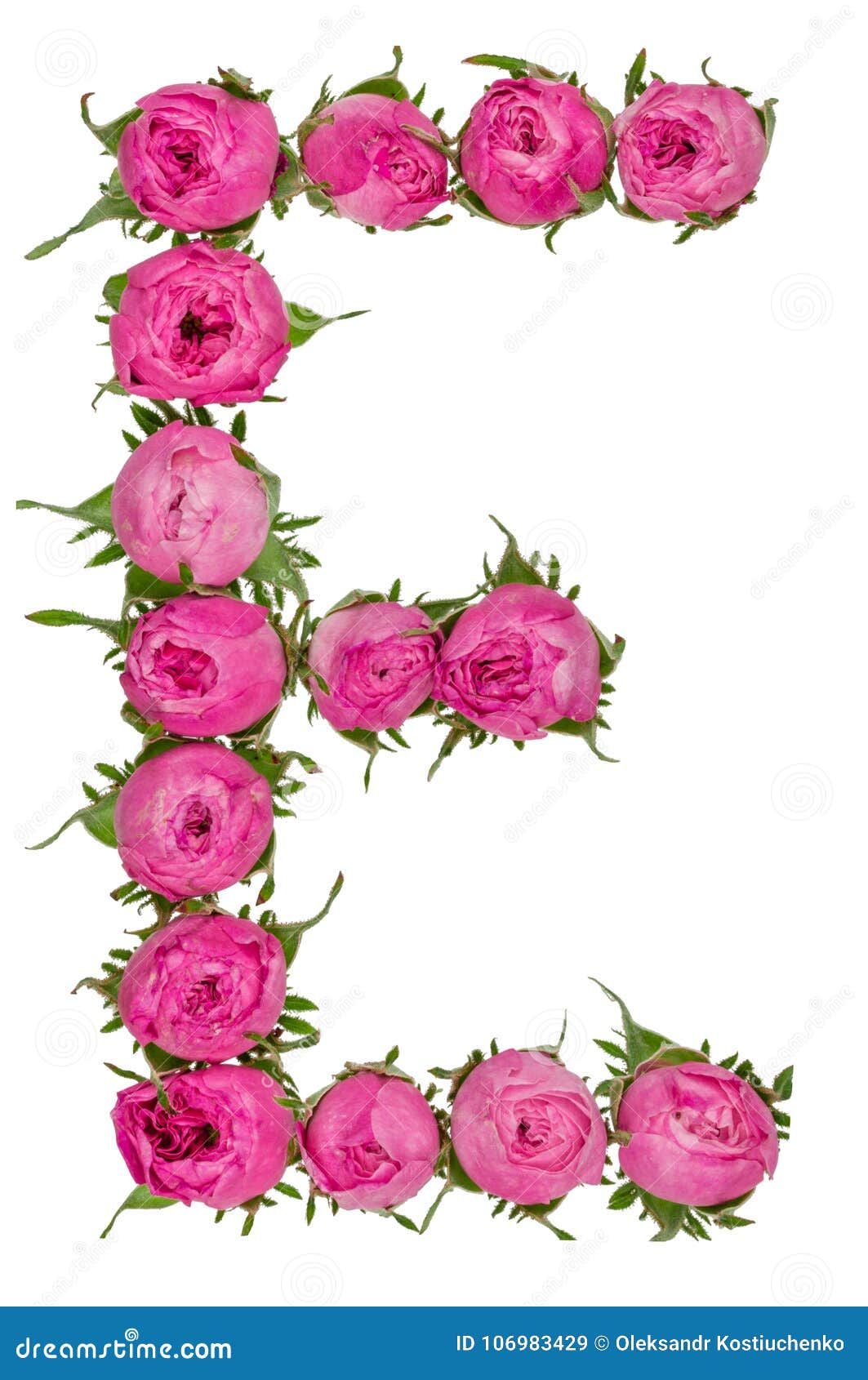 Letter E Alphabet from Flowers of Roses, Isolated on White Background ...