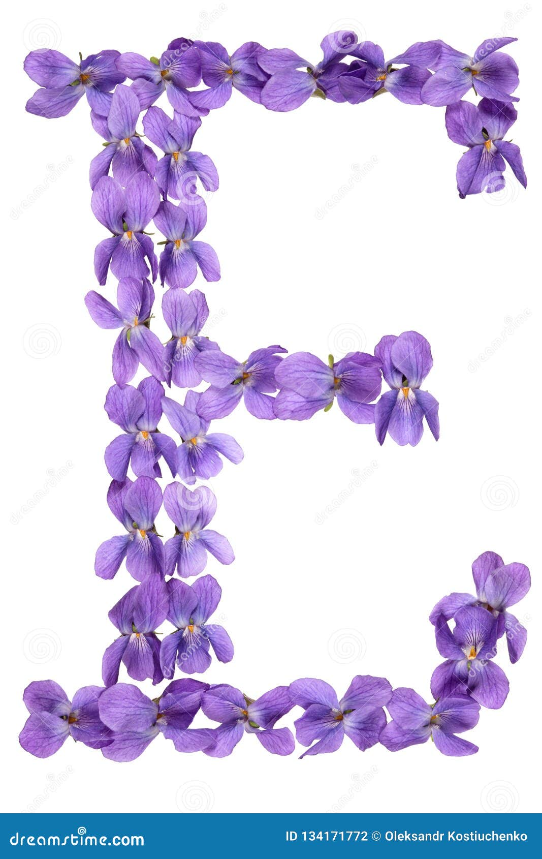 Letter E from Alphabet, from Flowers of Violet, Isolated on White ...