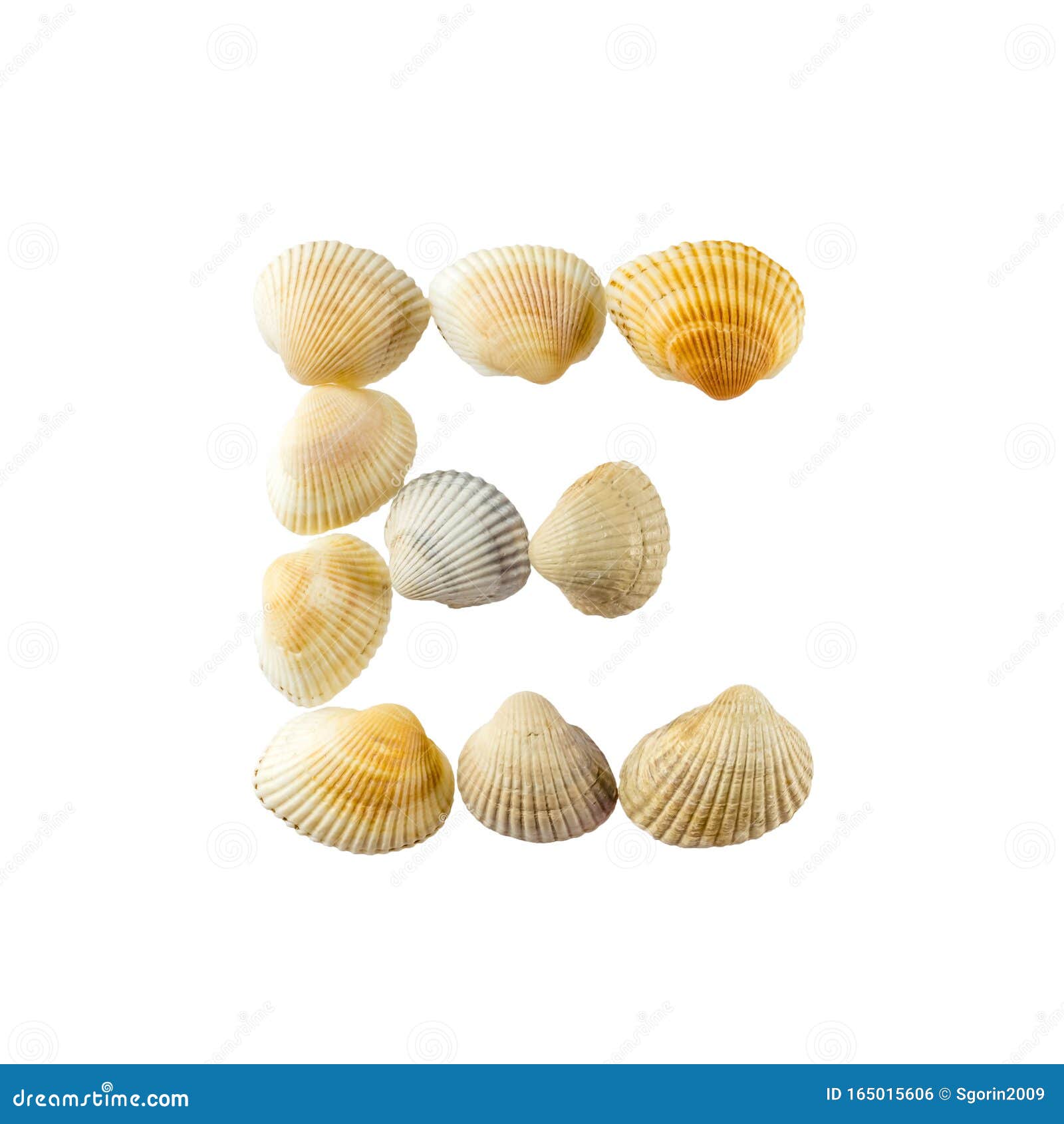 Letter `e` Composed from Seashells, Isolated on White Background Stock ...