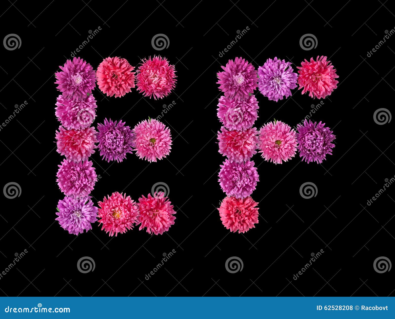 Letter E, F from Bright Asters Stock Photo - Image of asters, bright ...