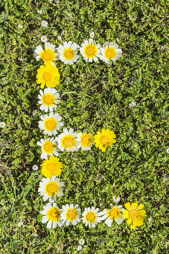 Letter E flower alphabet stock photo. Image of advertising - 52517626