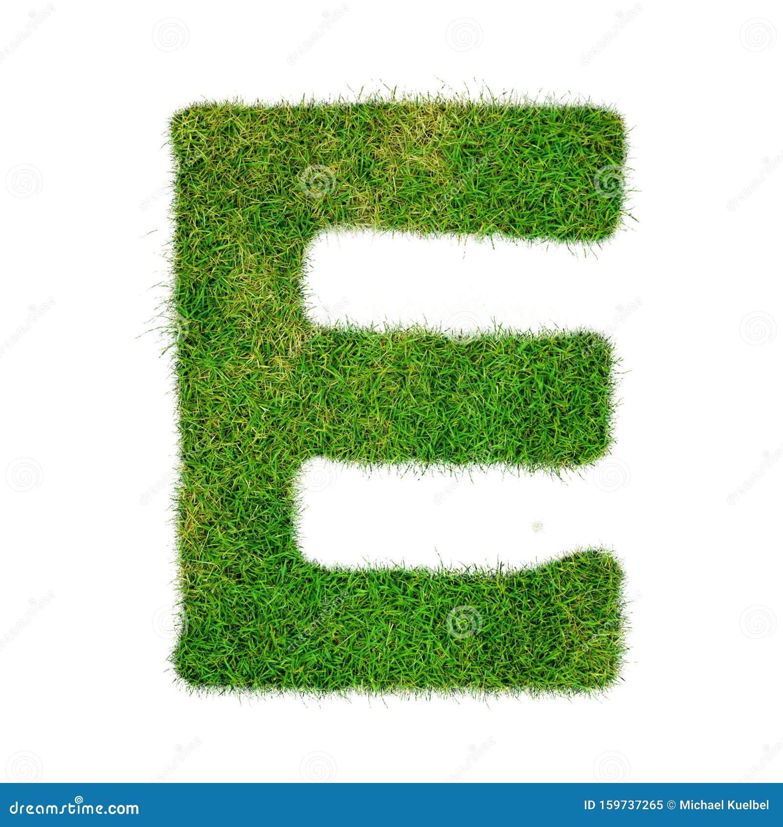 The Letter E In Nature
