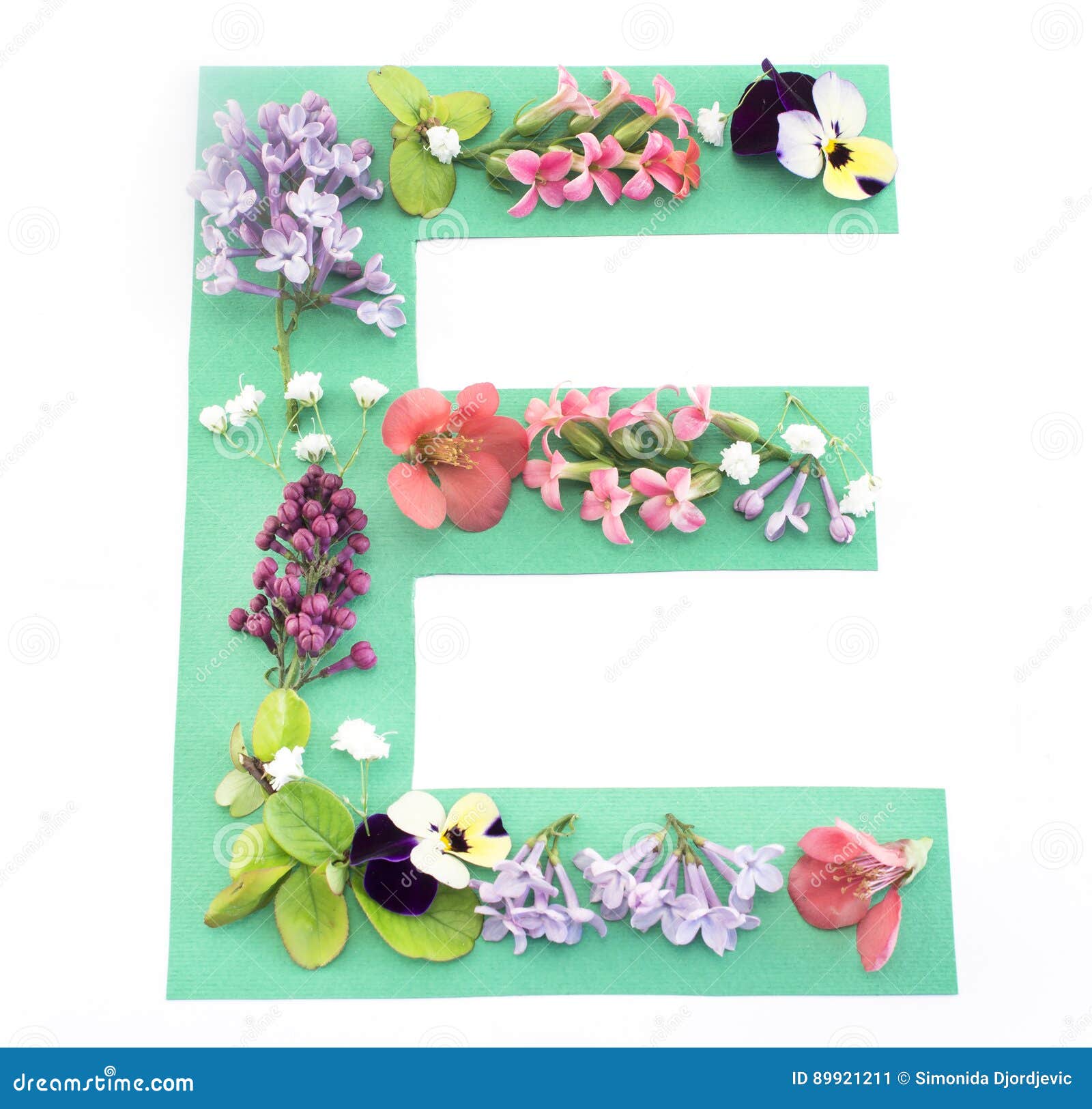 Letter E Made of Spring Flowers and Paper Stock Image - Image of green ...
