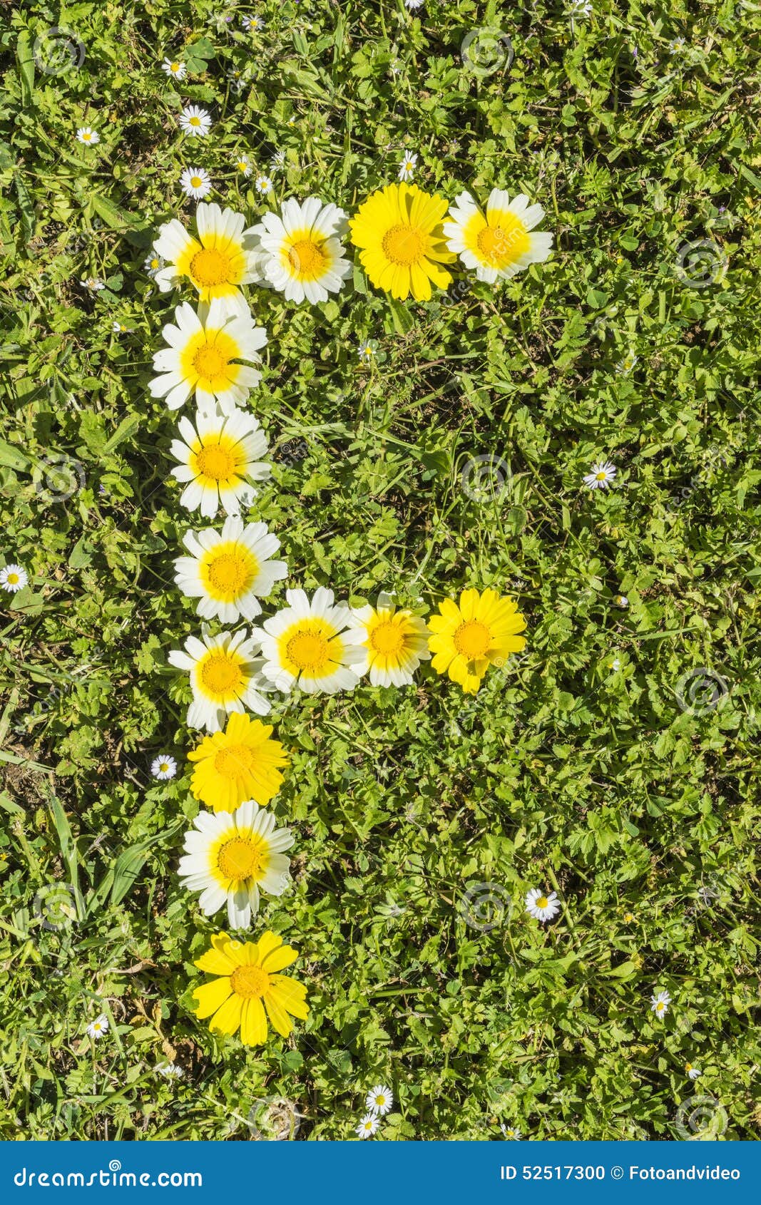 Letter F flower alphabet stock photo. Image of birthday - 52517300