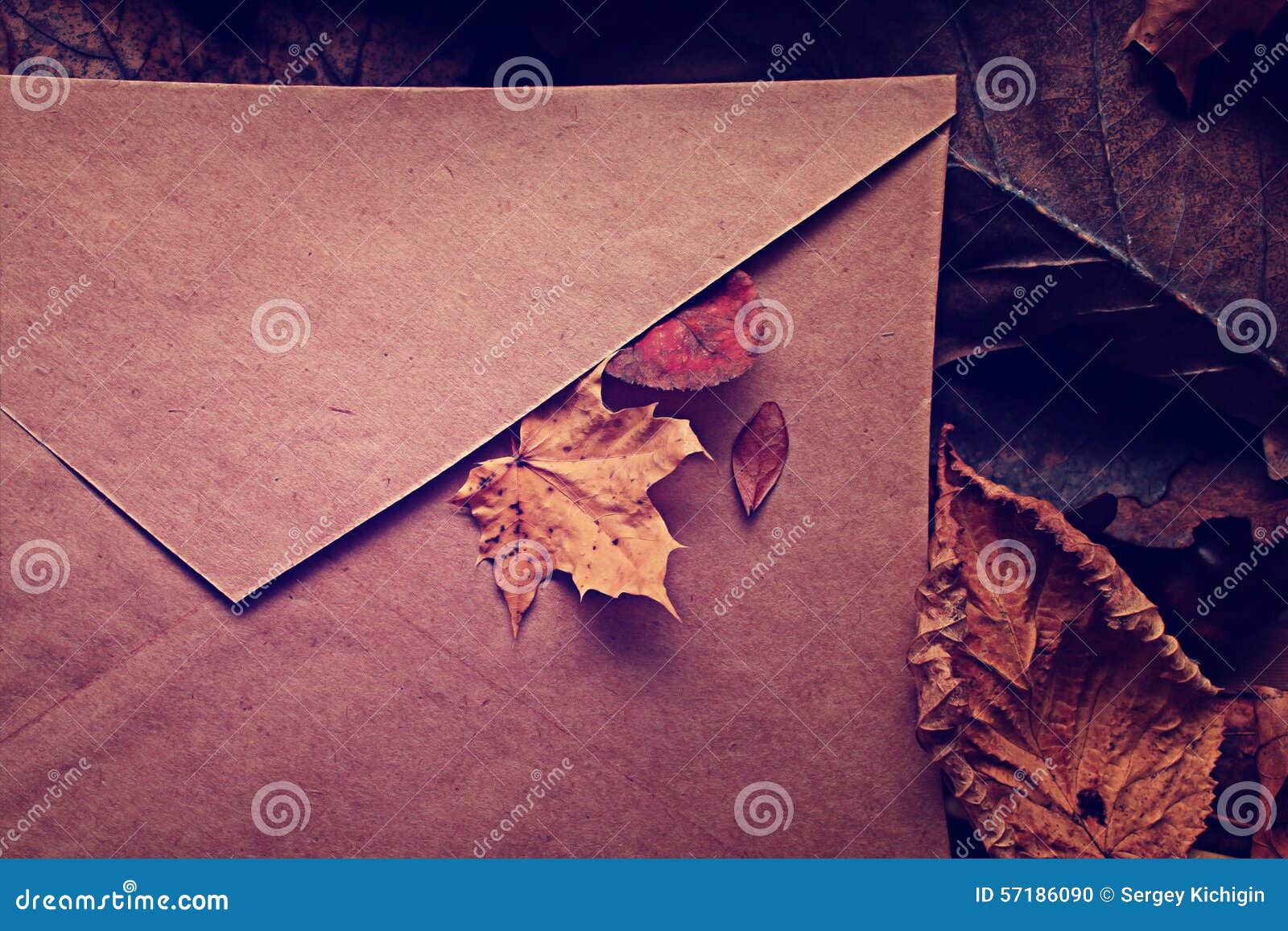 Letter fallen leaves stock photo. Image of colorful, autumn - 57186090